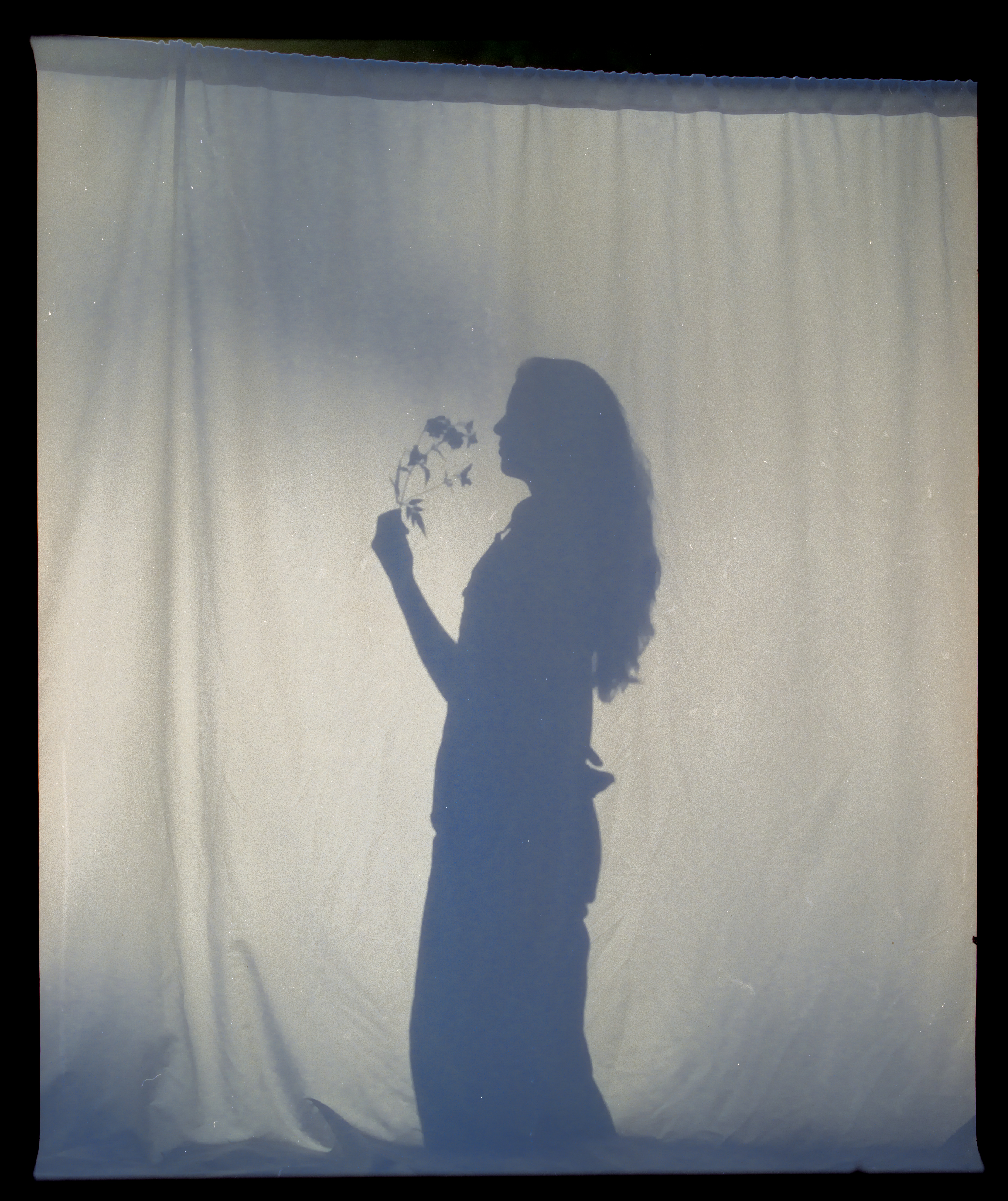 Silhouette of a woman holding a flower against a softly lit backdrop. The image captures a moment of contemplation and connection with nature.