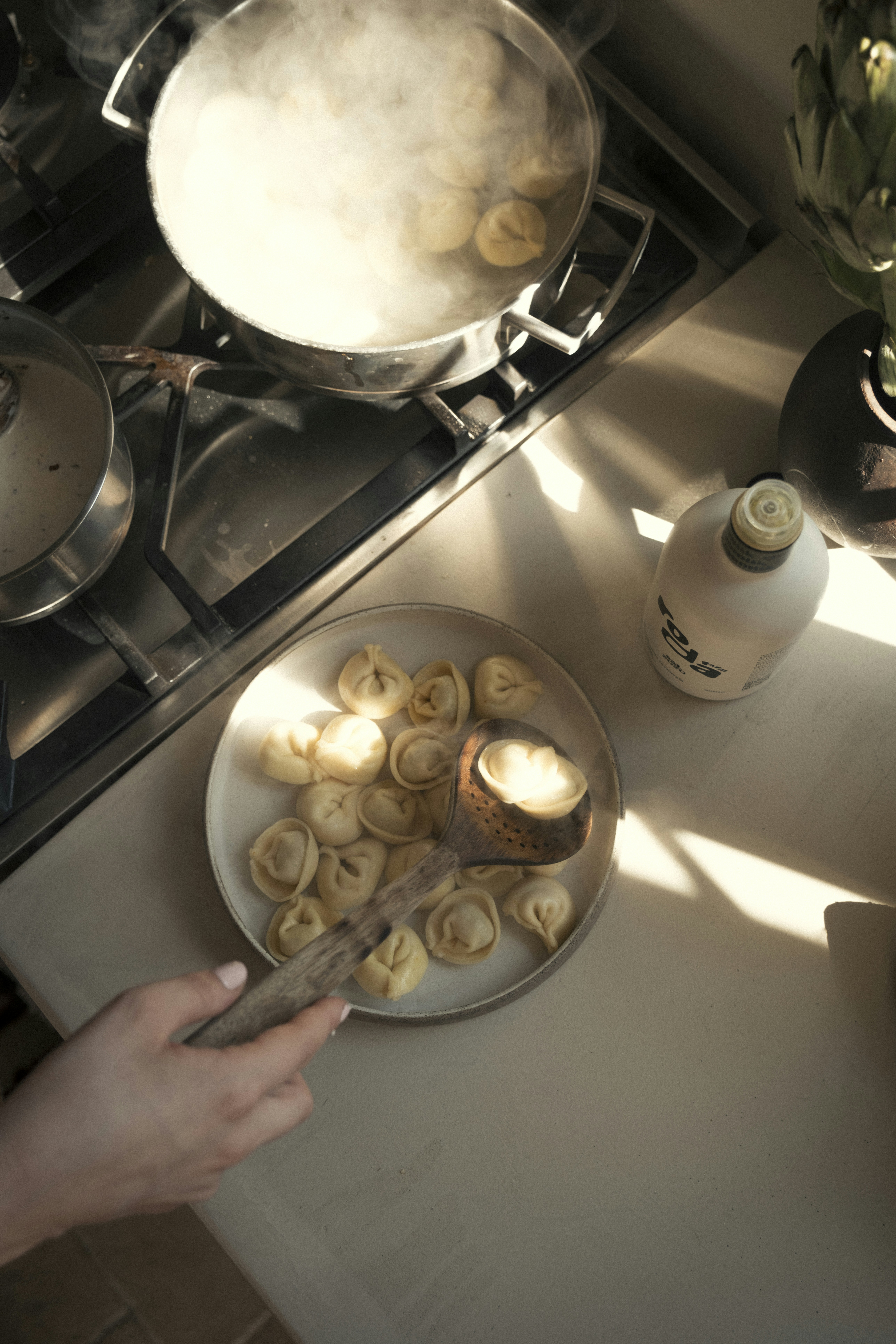 Culinary Harmony: The Art of Dumpling Preparation