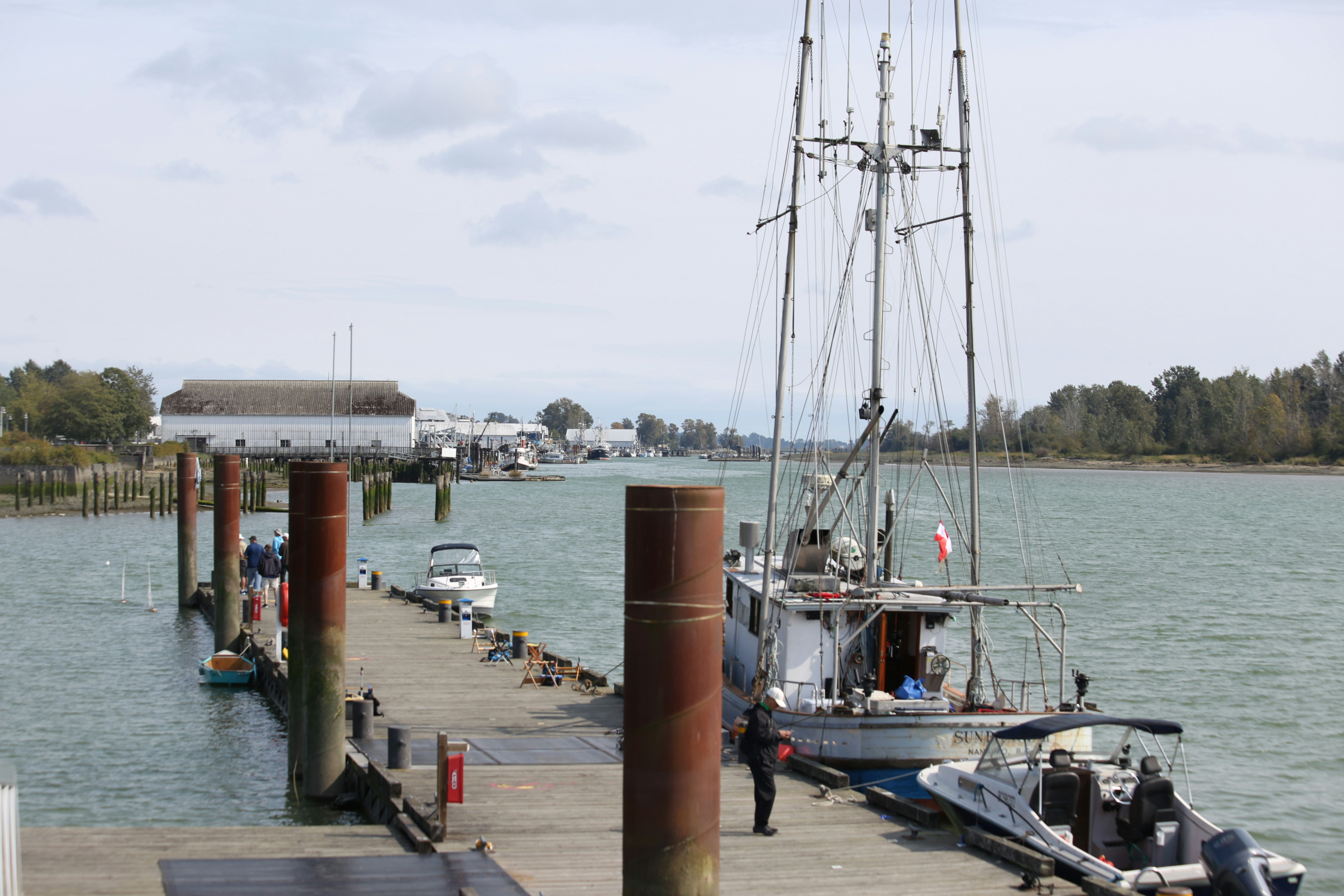Rigged Quiet: Sailboat Masts Over a Weathered Harbor Pier