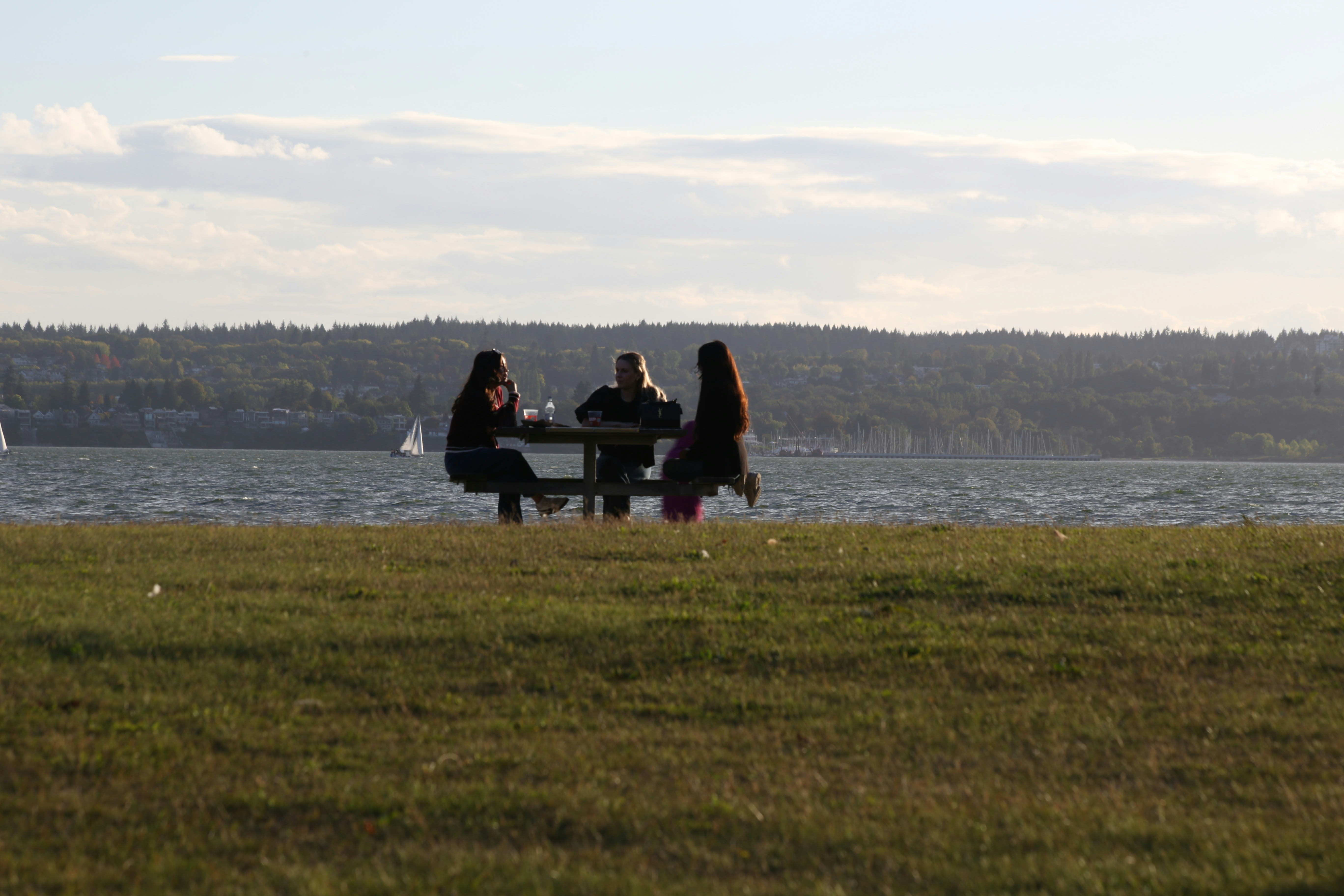 Serene Conversations by the Water's Edge