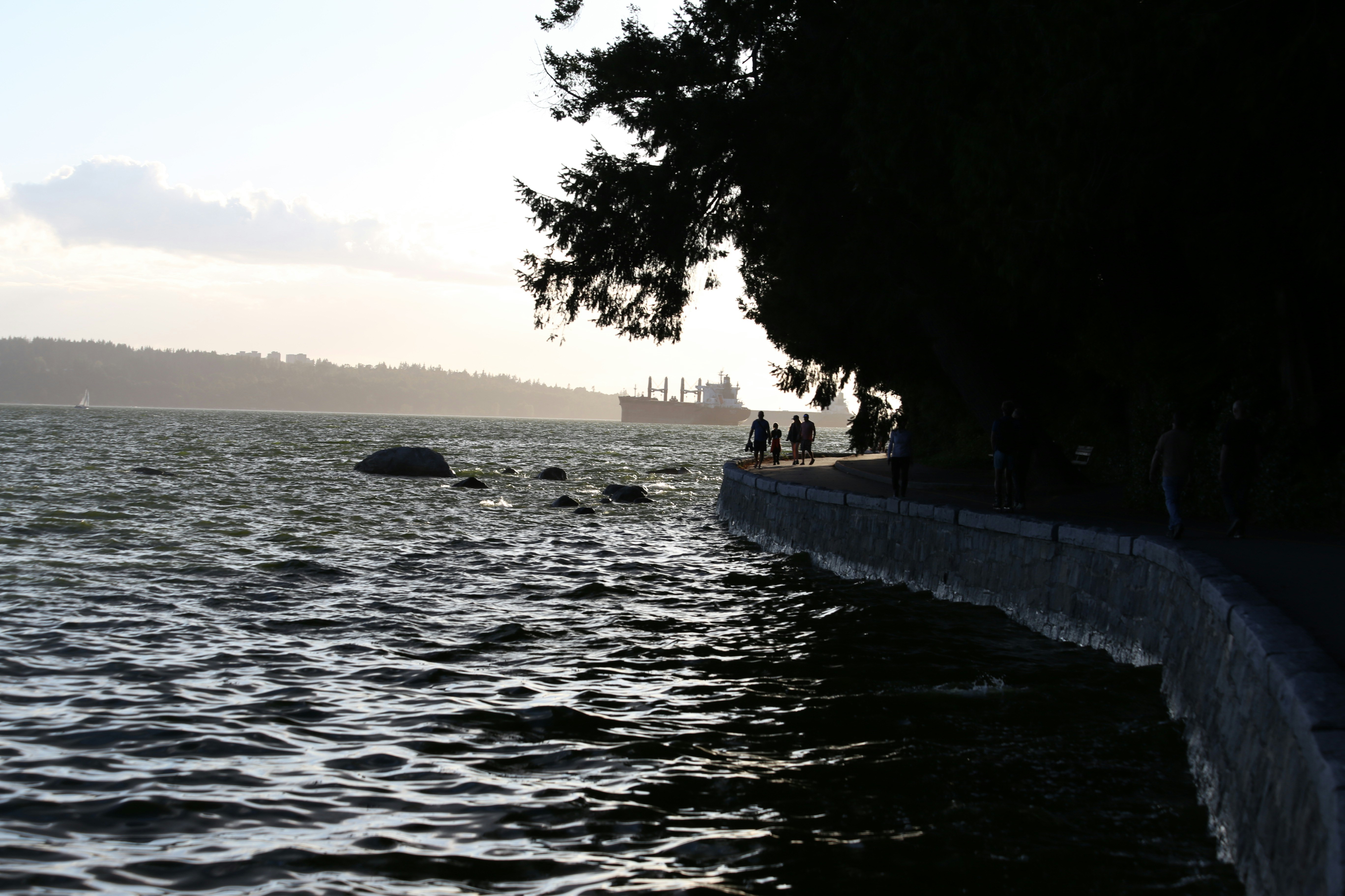 Whispers of the Waterfront
