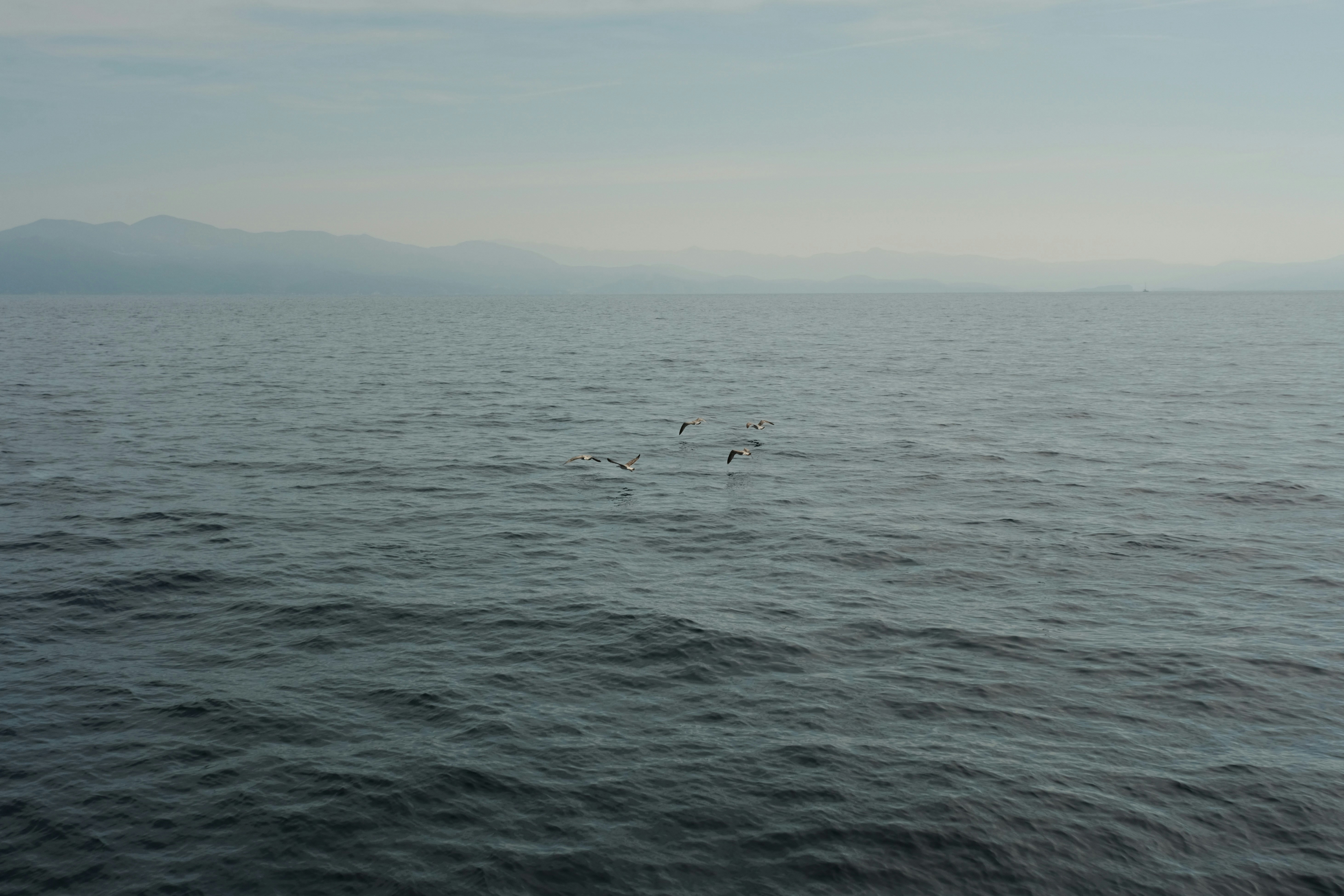 Serenity in Flight Above the Endless Blue