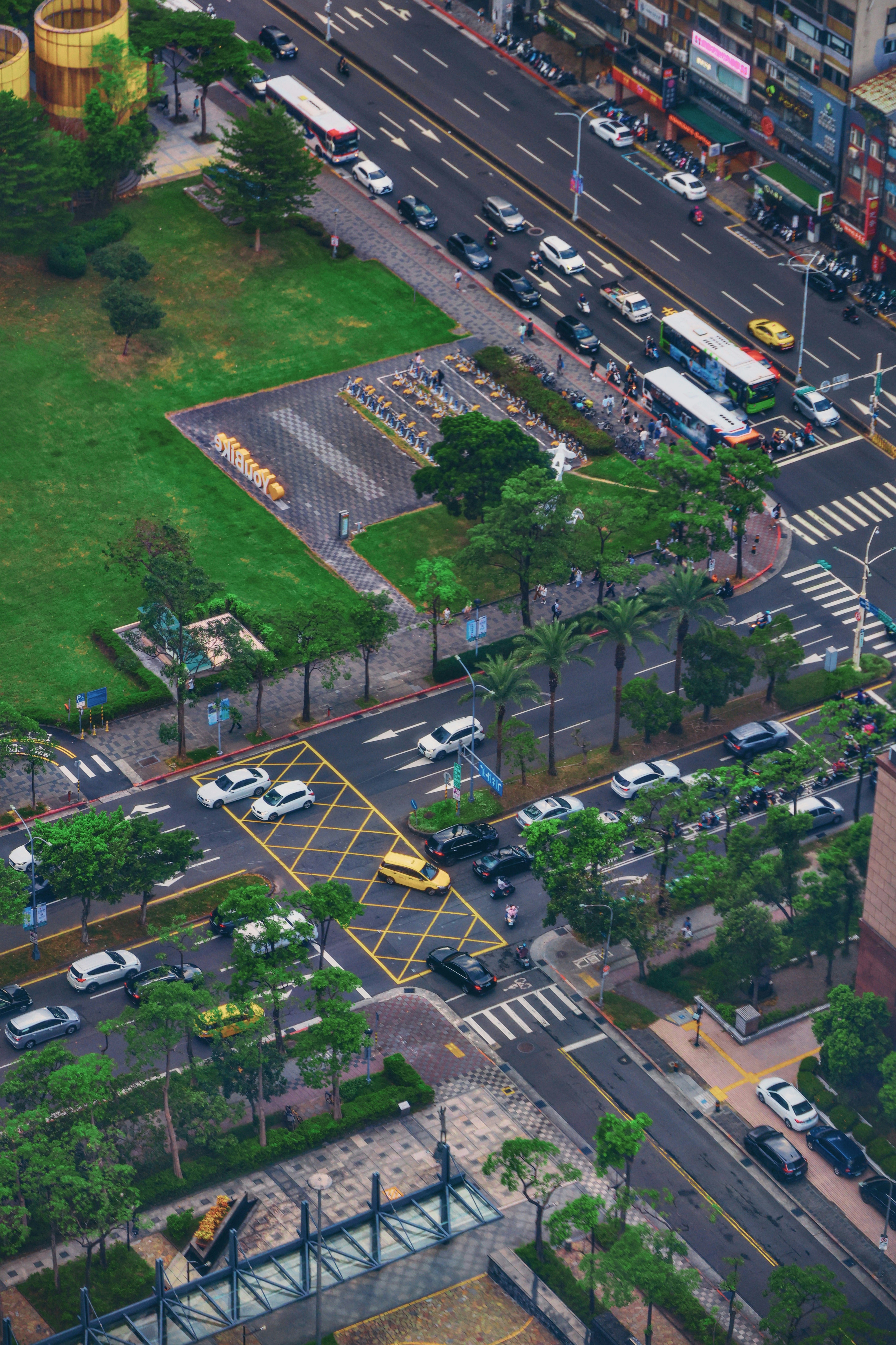 Urban Harmony: A Dance of Nature and Motion