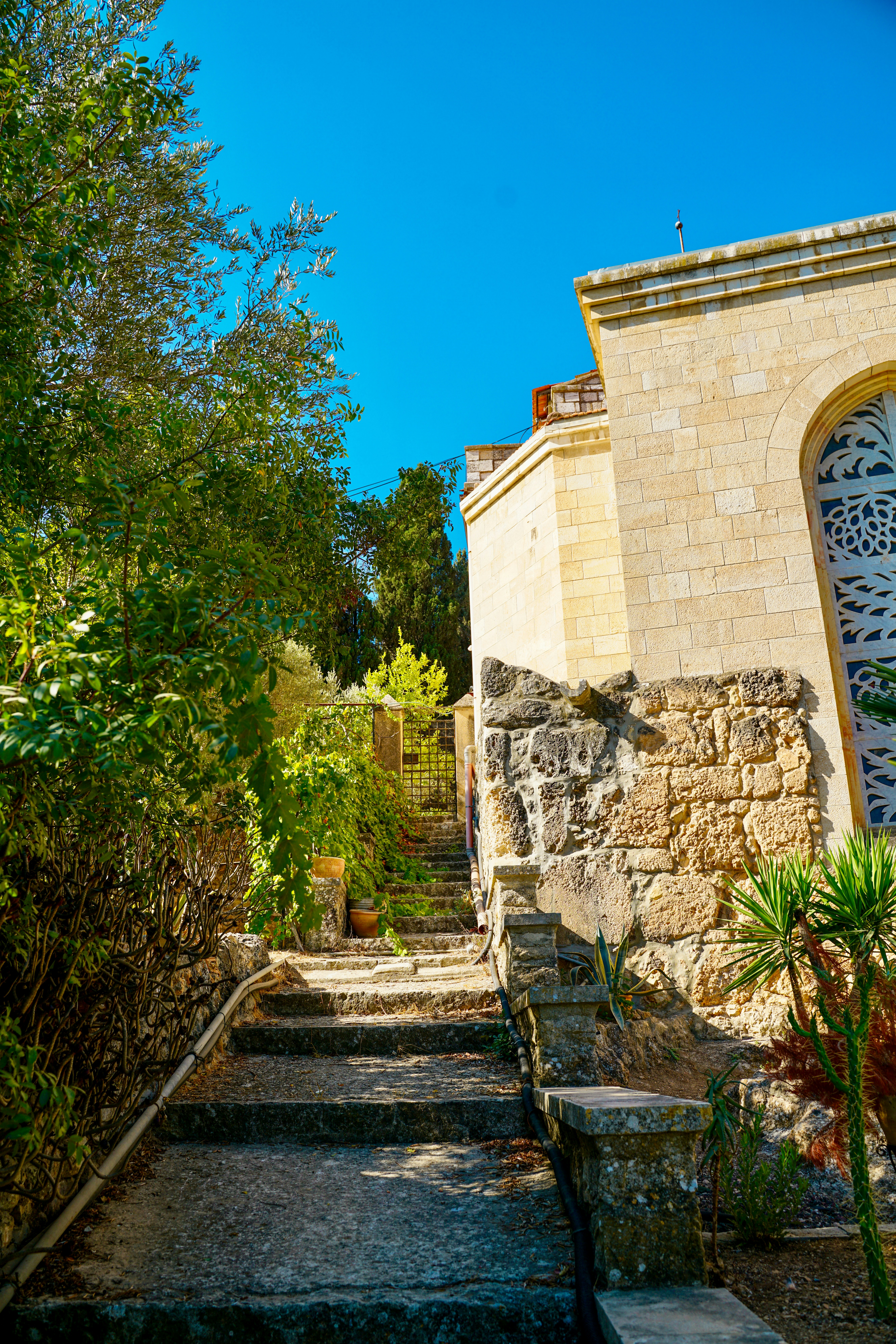 Stone steps ascend through lush greenery towards a charming building with intricate window designs.