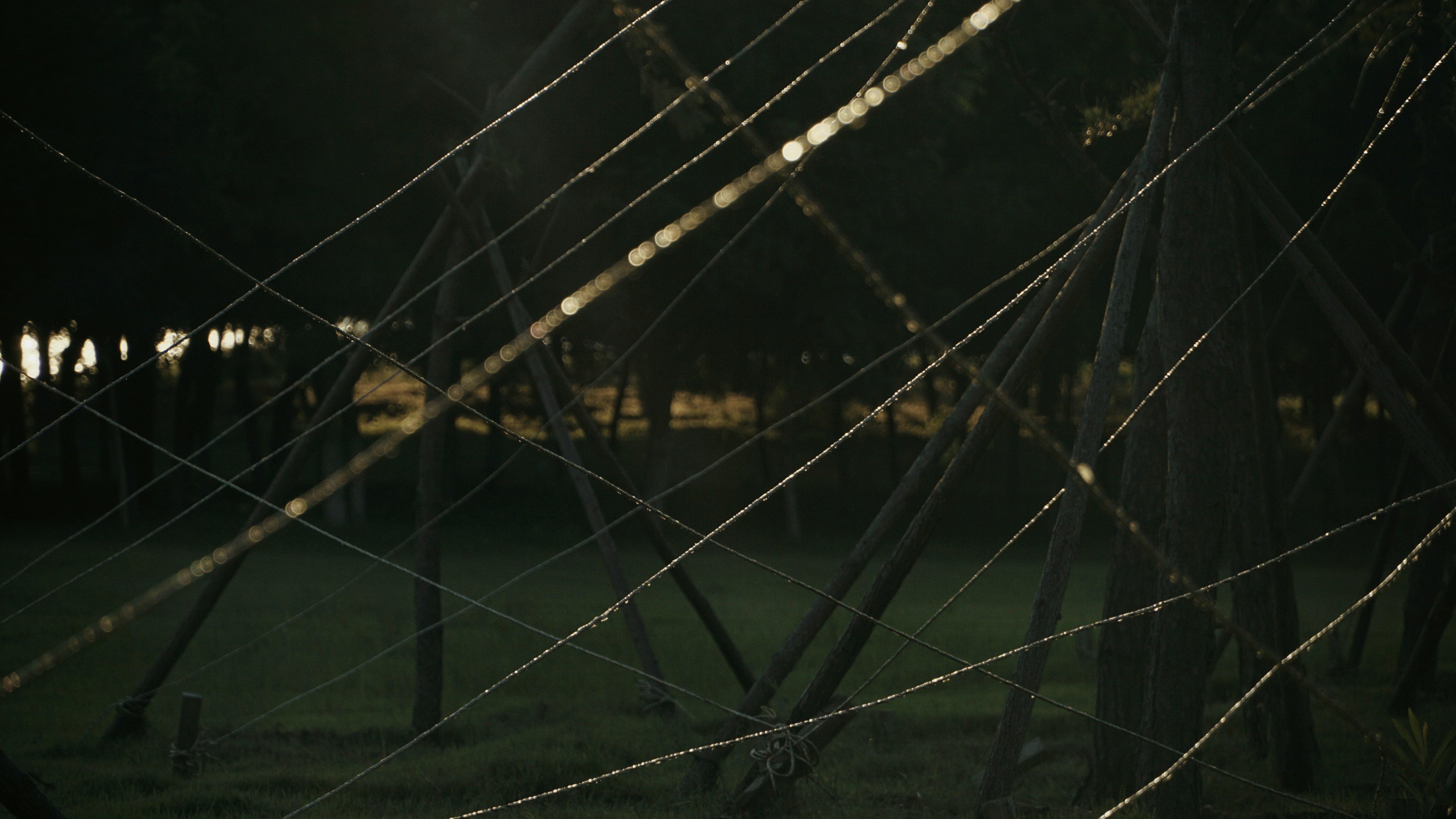 Abstract pattern of crisscrossing wires at night