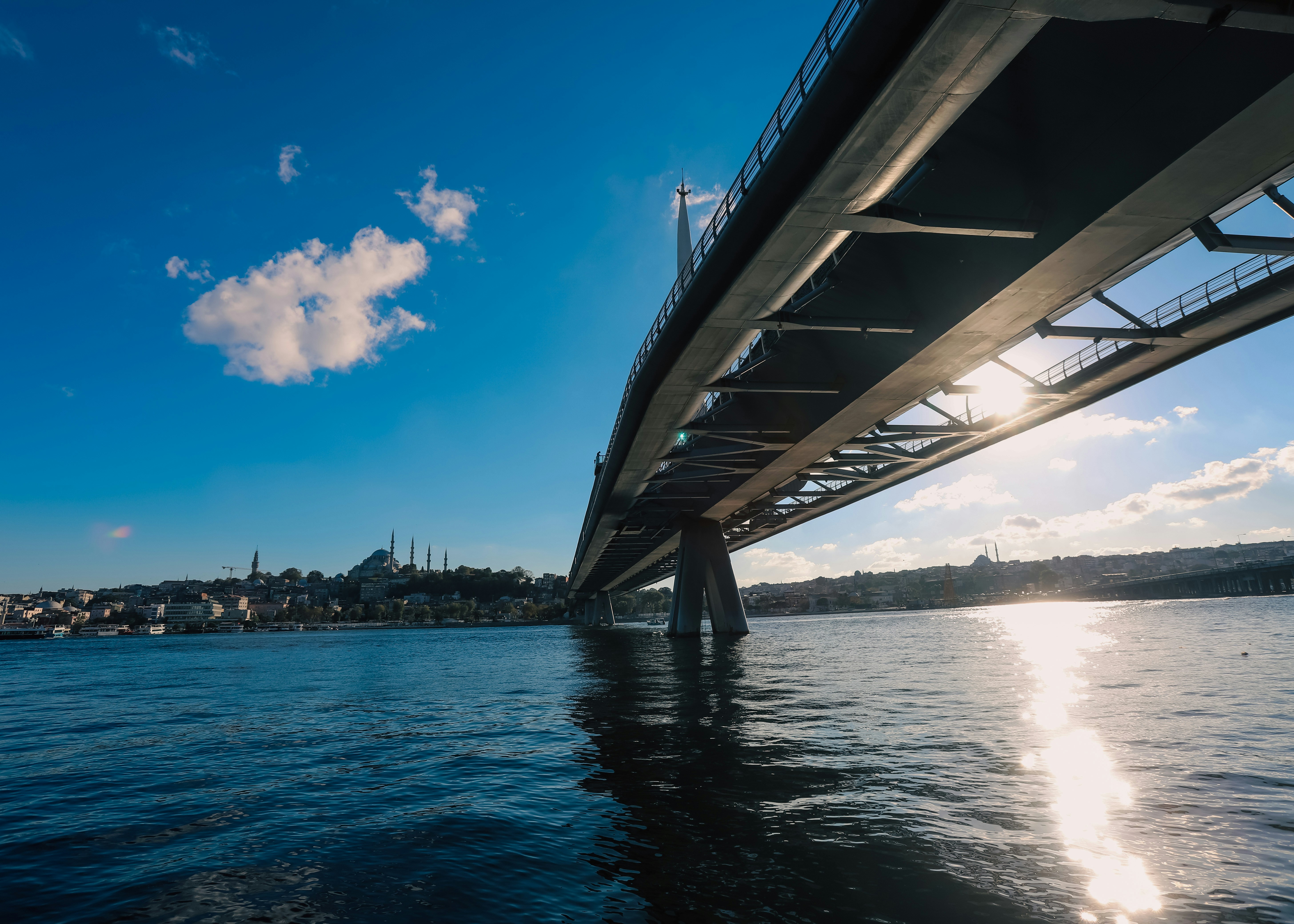 Under the Span: A Glimpse of Urban Serenity