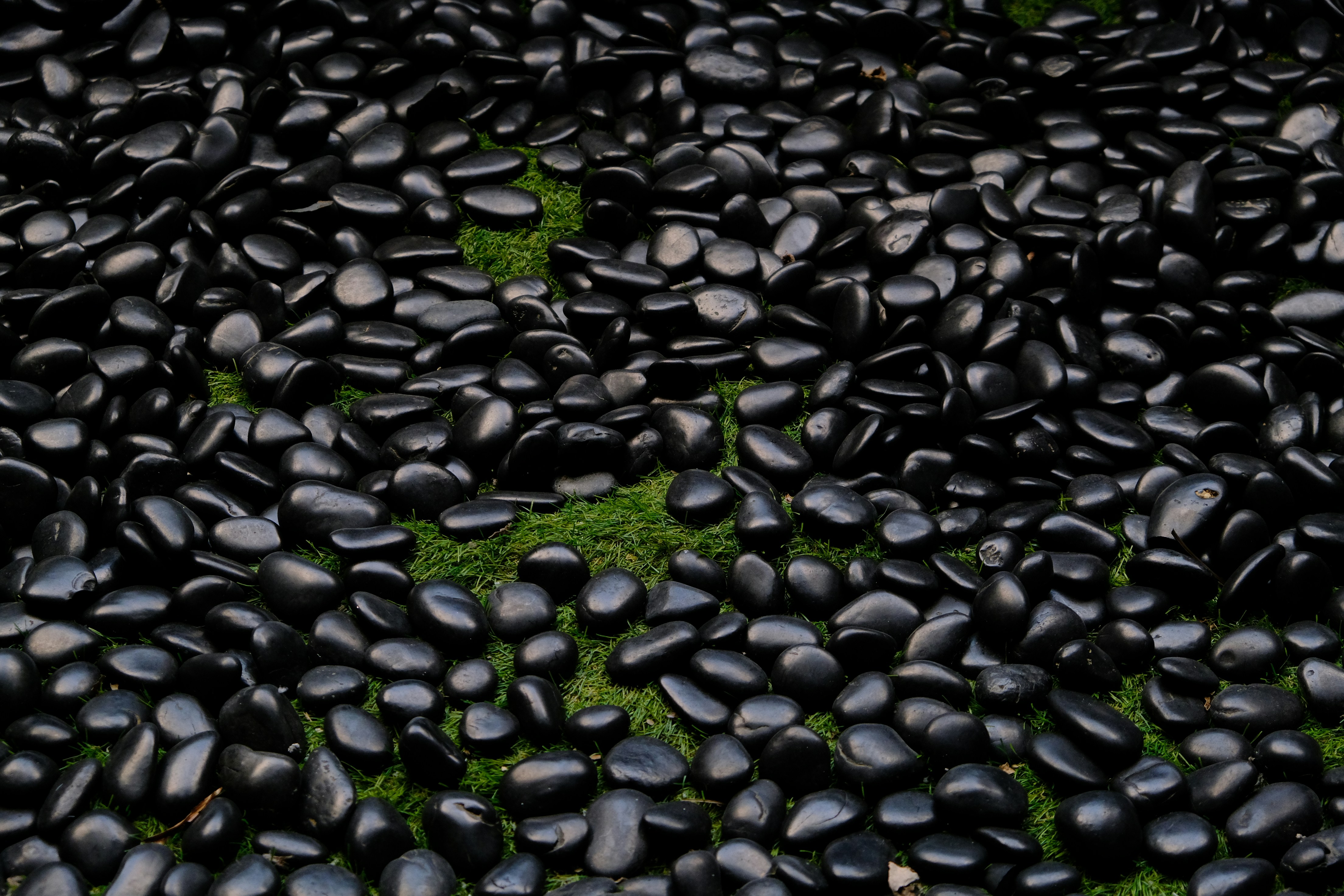 Smooth black pebbles scattered on green moss