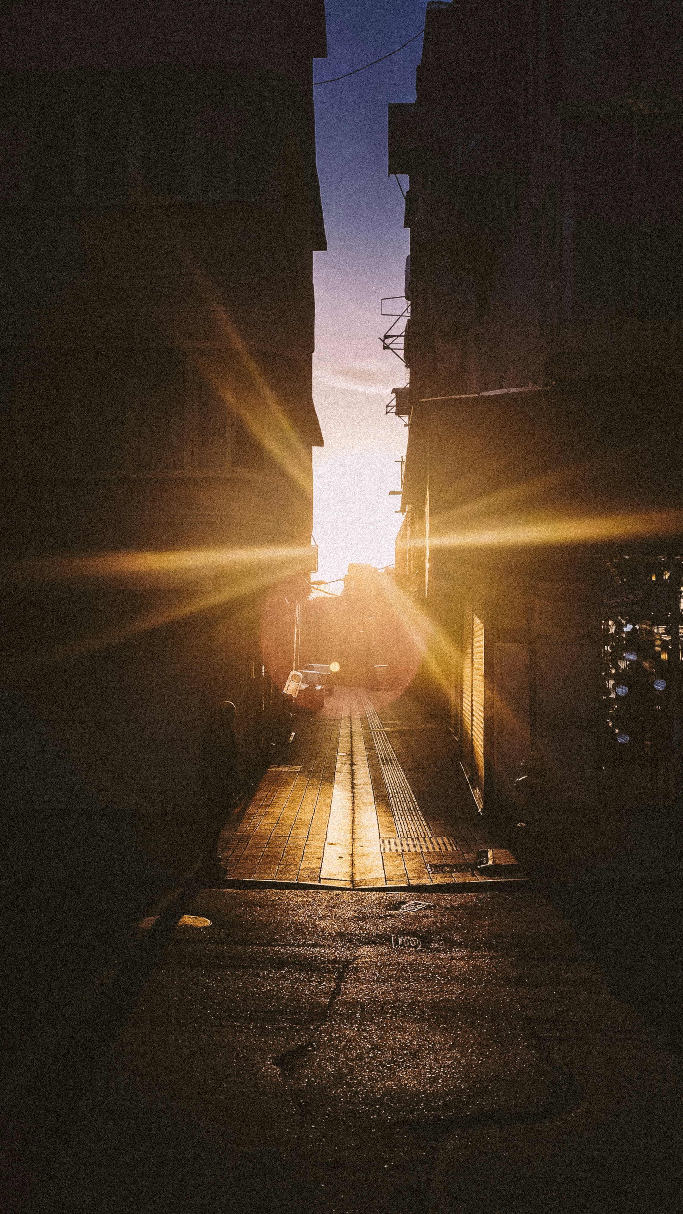Sunlight streaming through a narrow alley, illuminating the wet pavement and creating a warm, inviting glow.