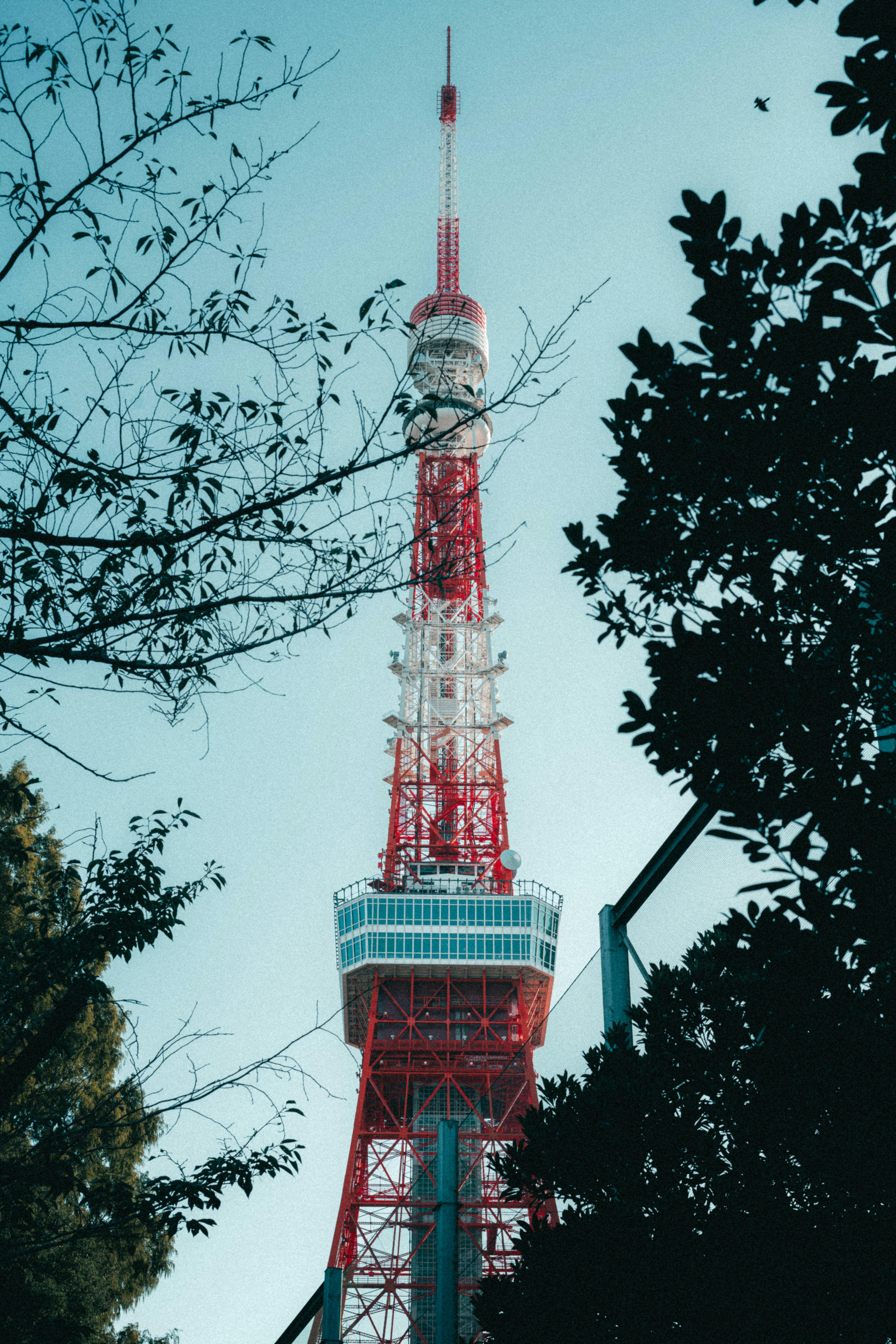 Photoshoot by Sun Hung | Red and white tower framed by dark green trees
