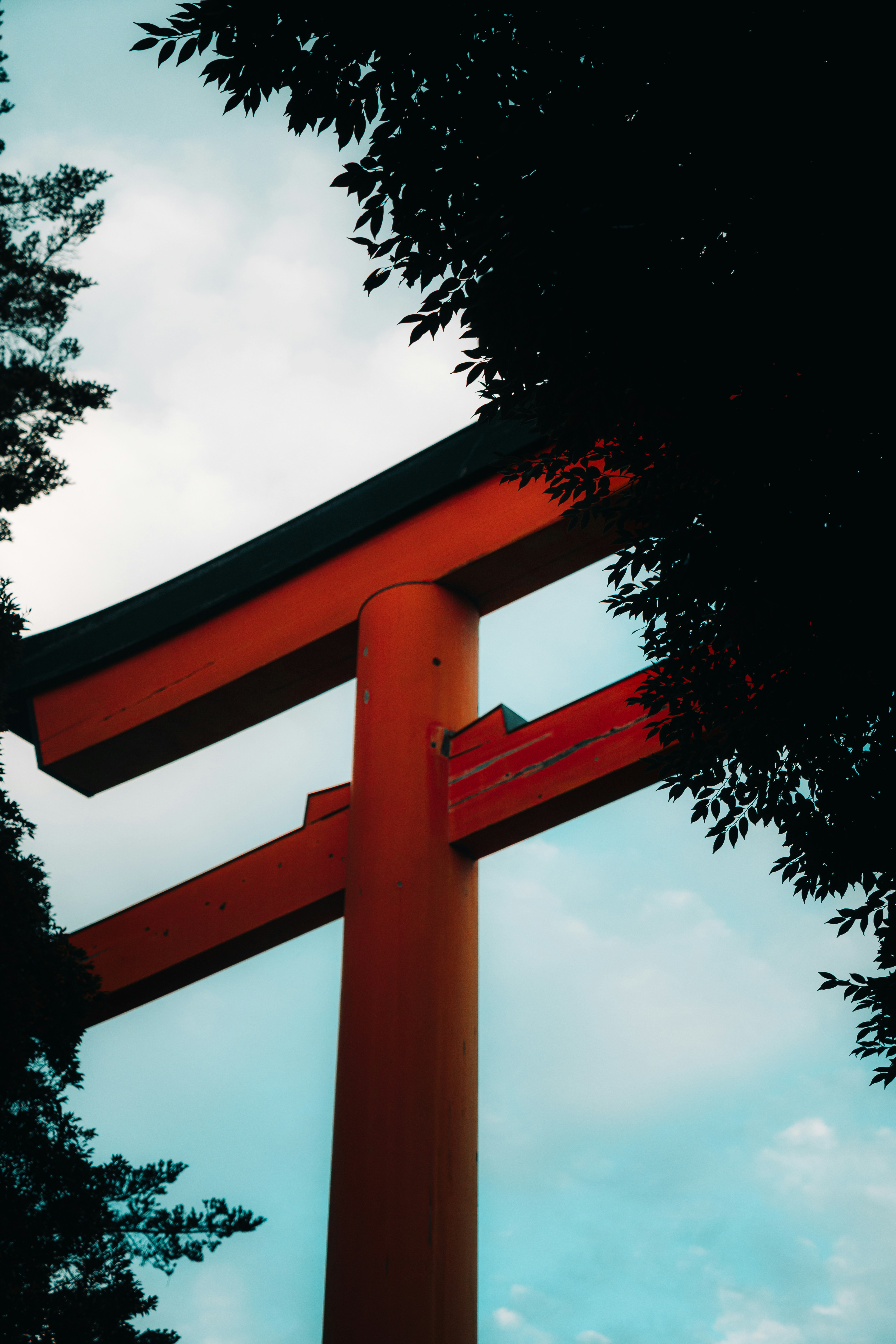 Gateway to Serenity: A Torii's Embrace
