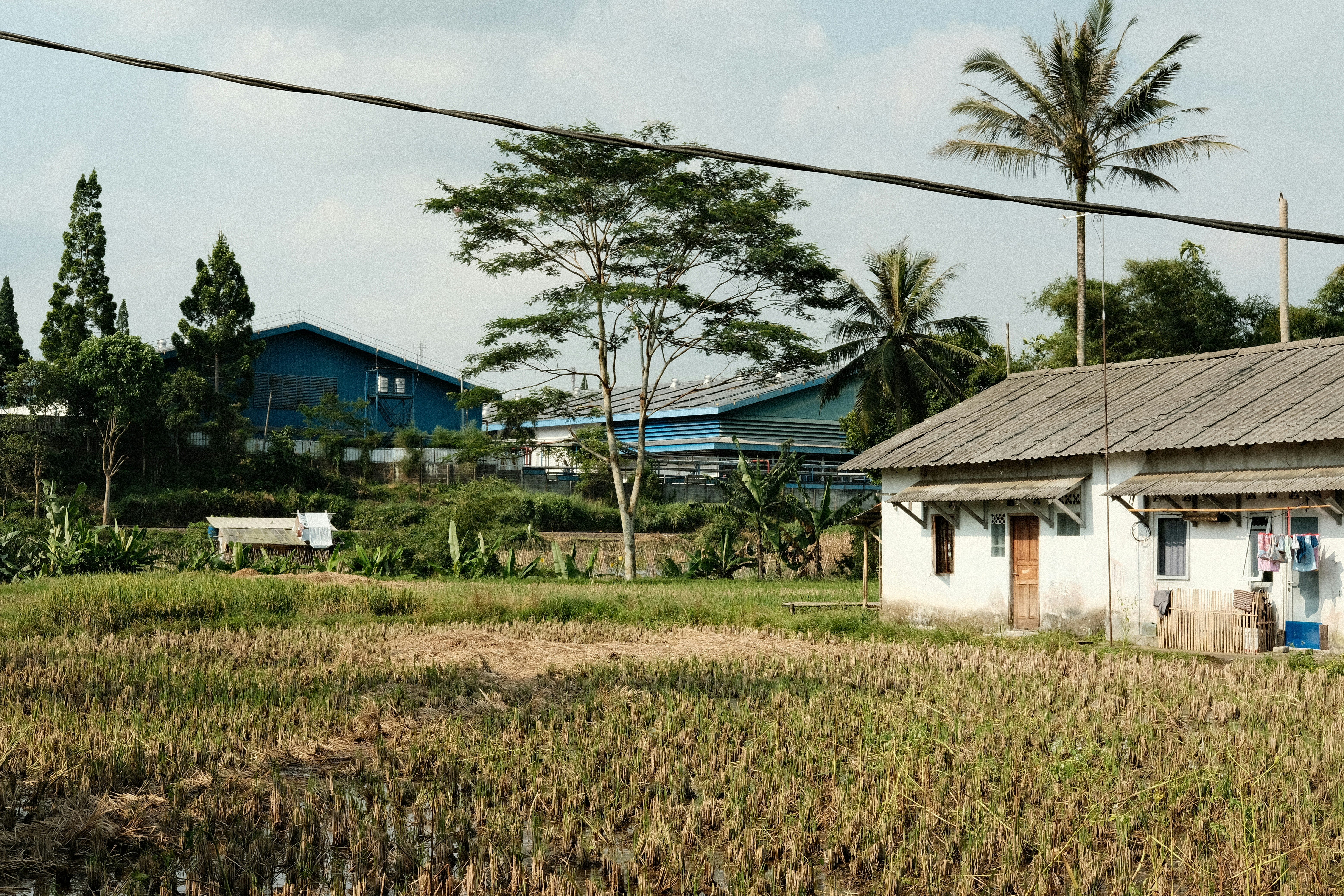 A farmer's and house, seemed like the kind of drawing we would draw as a kid | Rural houses and trees under a cloudy sky.