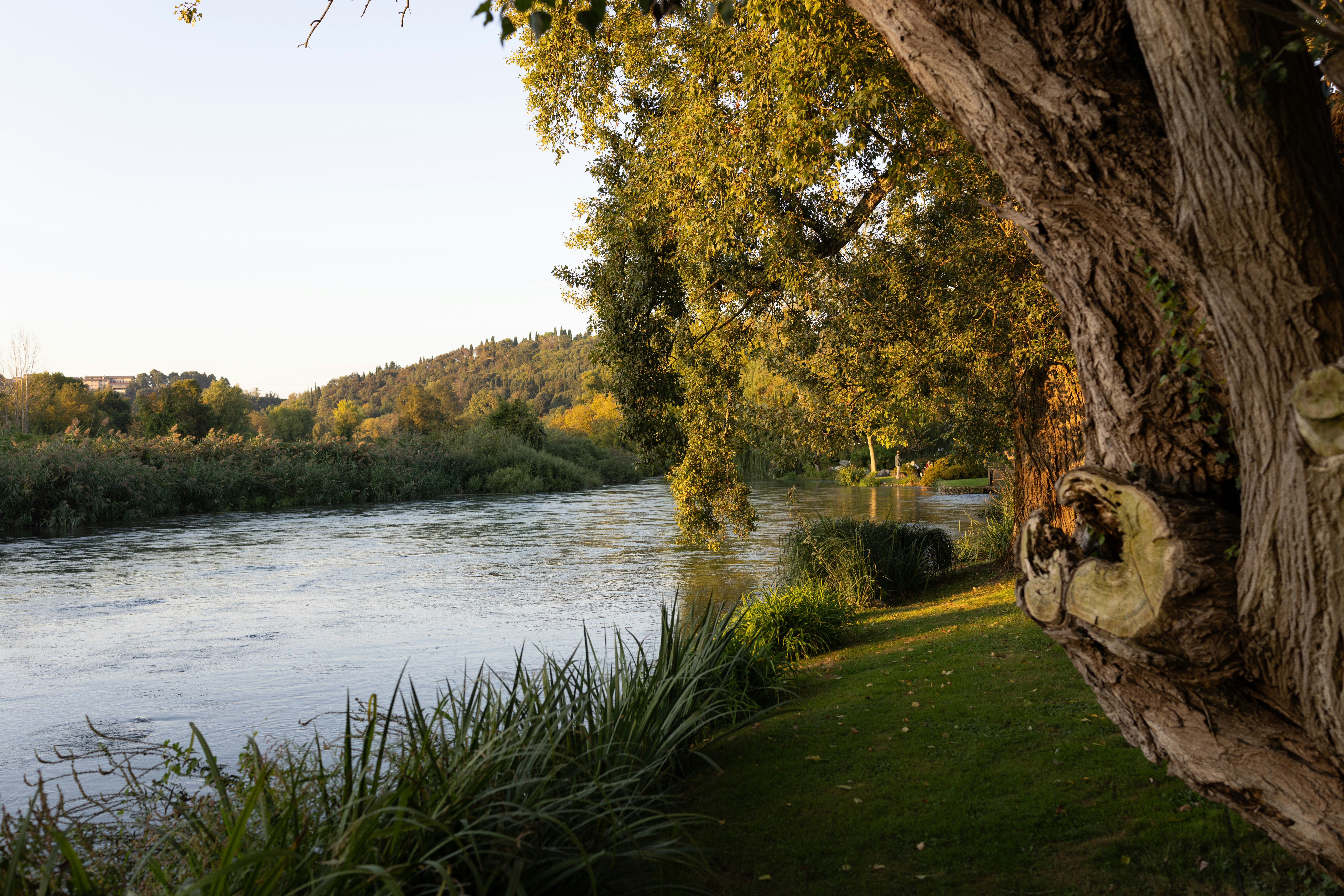 Serenity by the Water's Edge