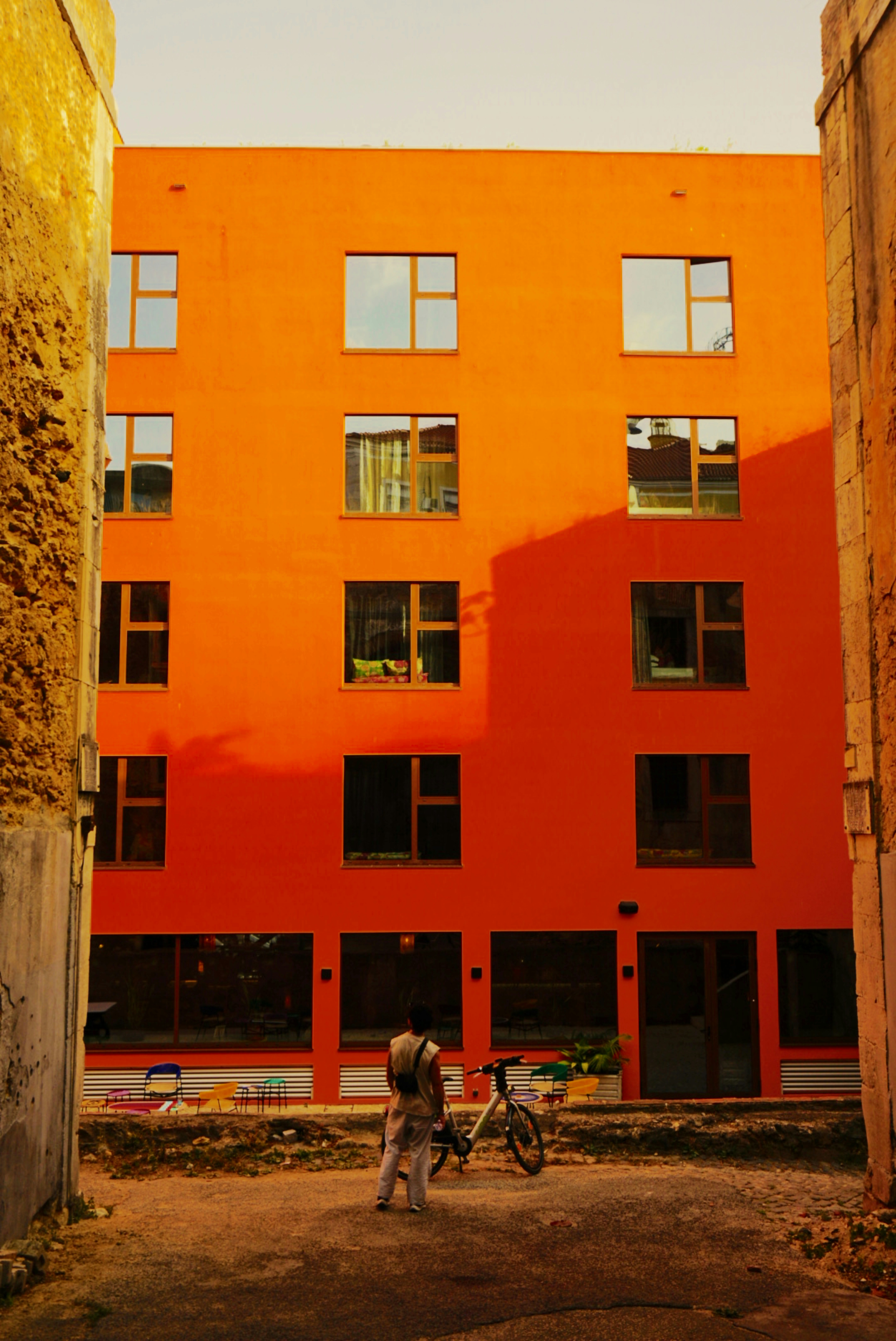 Urban Oasis: A Burst of Color Amidst Concrete