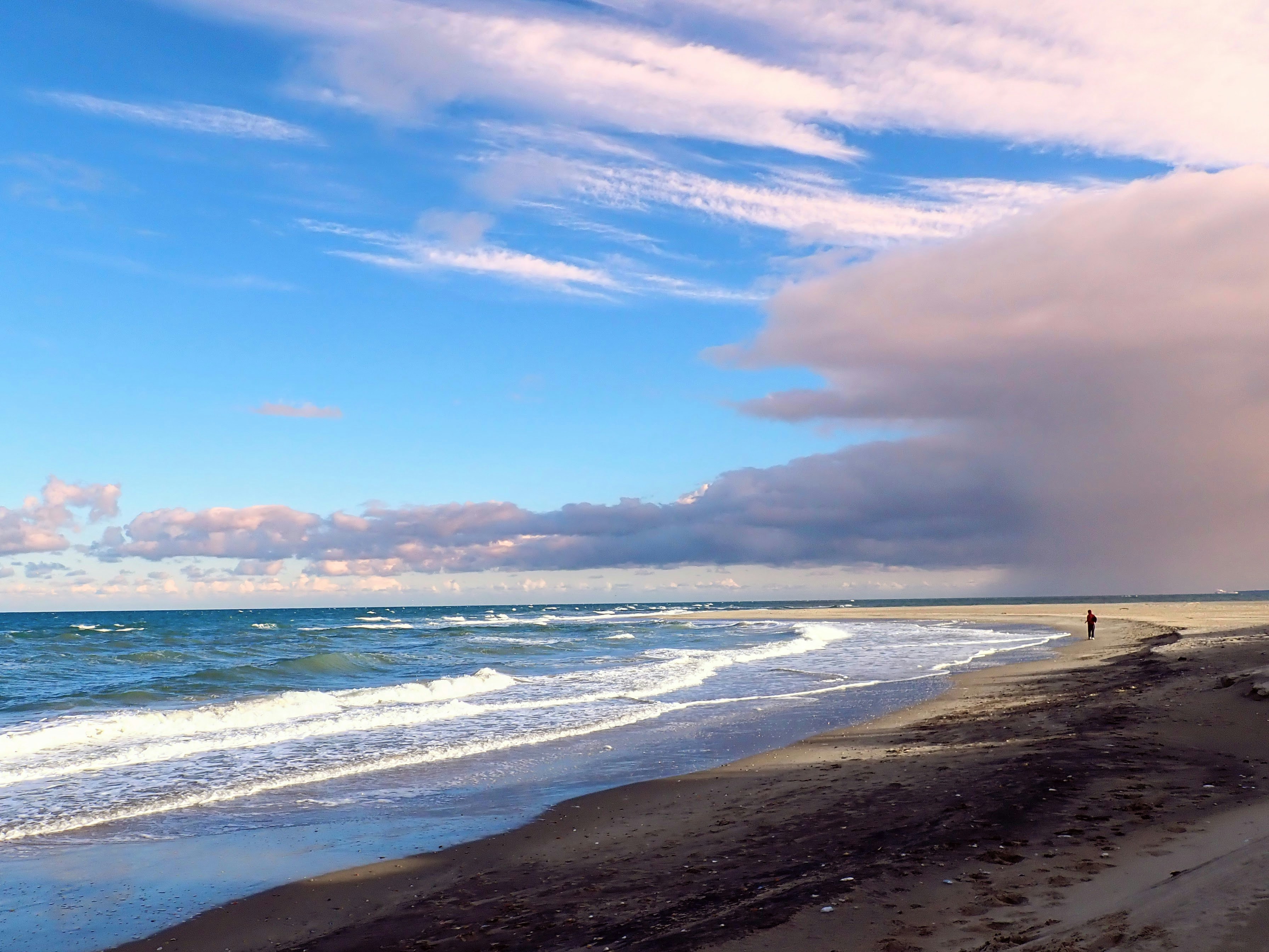 Whispers of the Shoreline