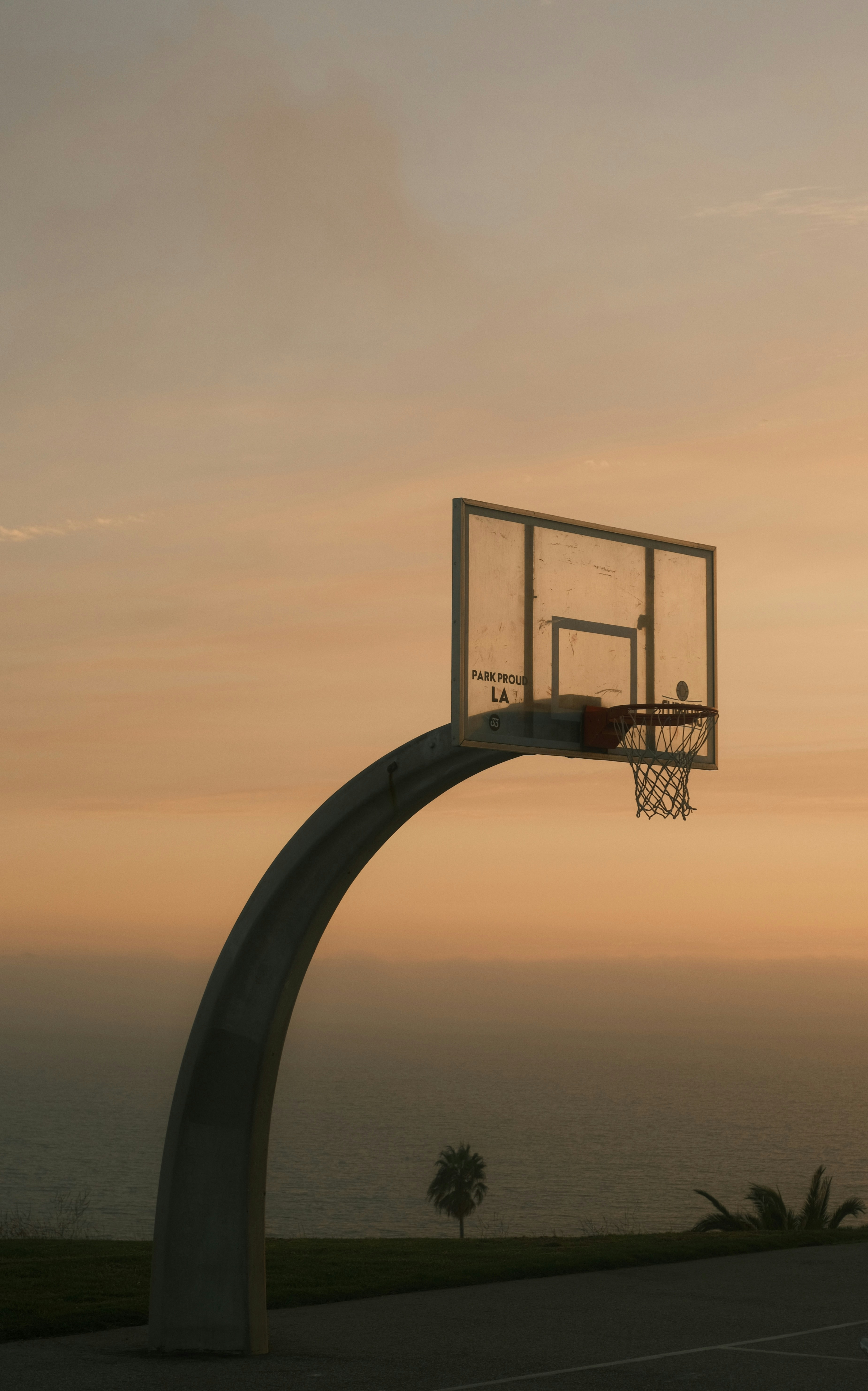 Basketball hoop on a court at sunset