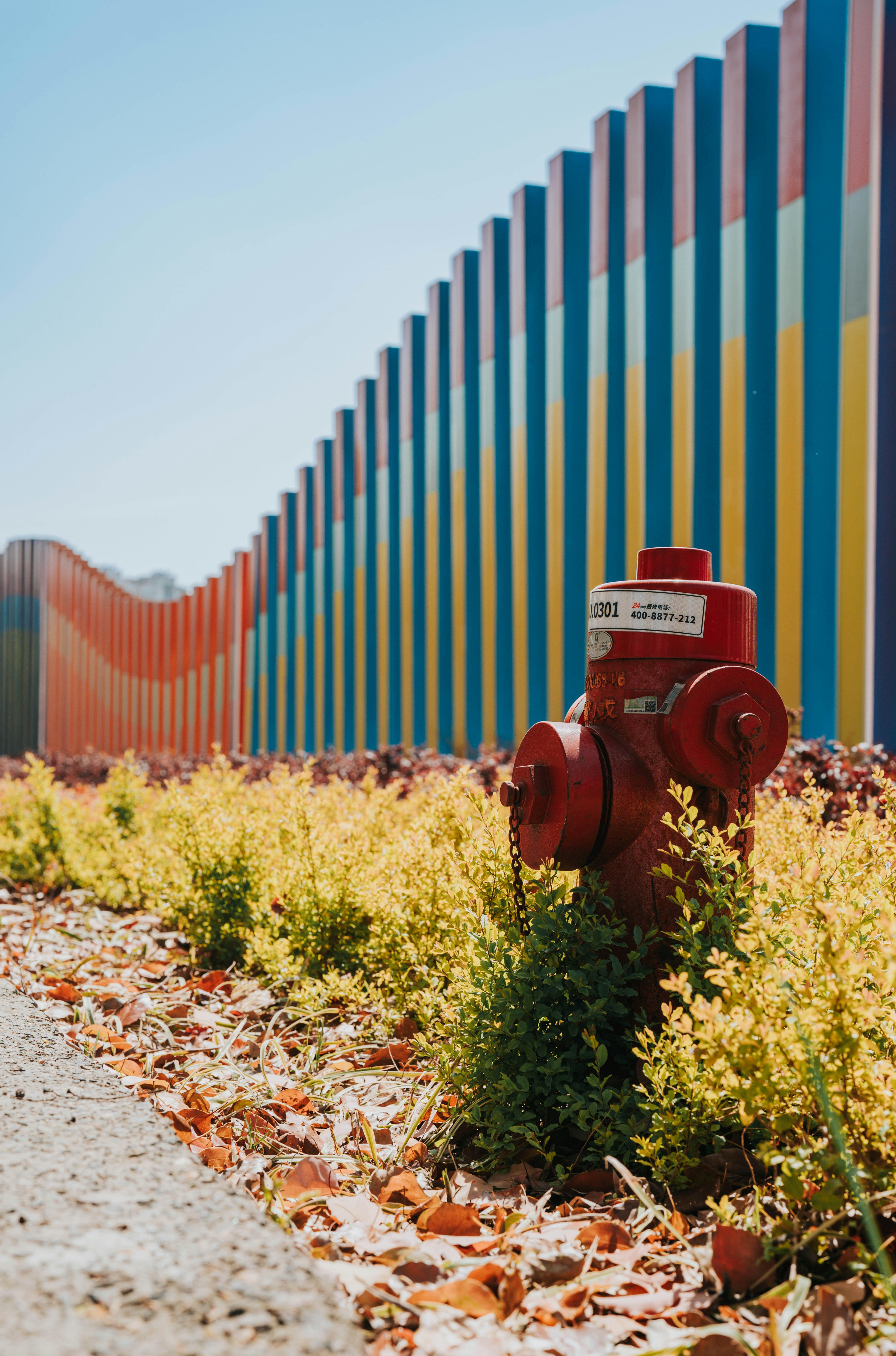 Vibrant Urban Intersection: Where Color Meets Utility