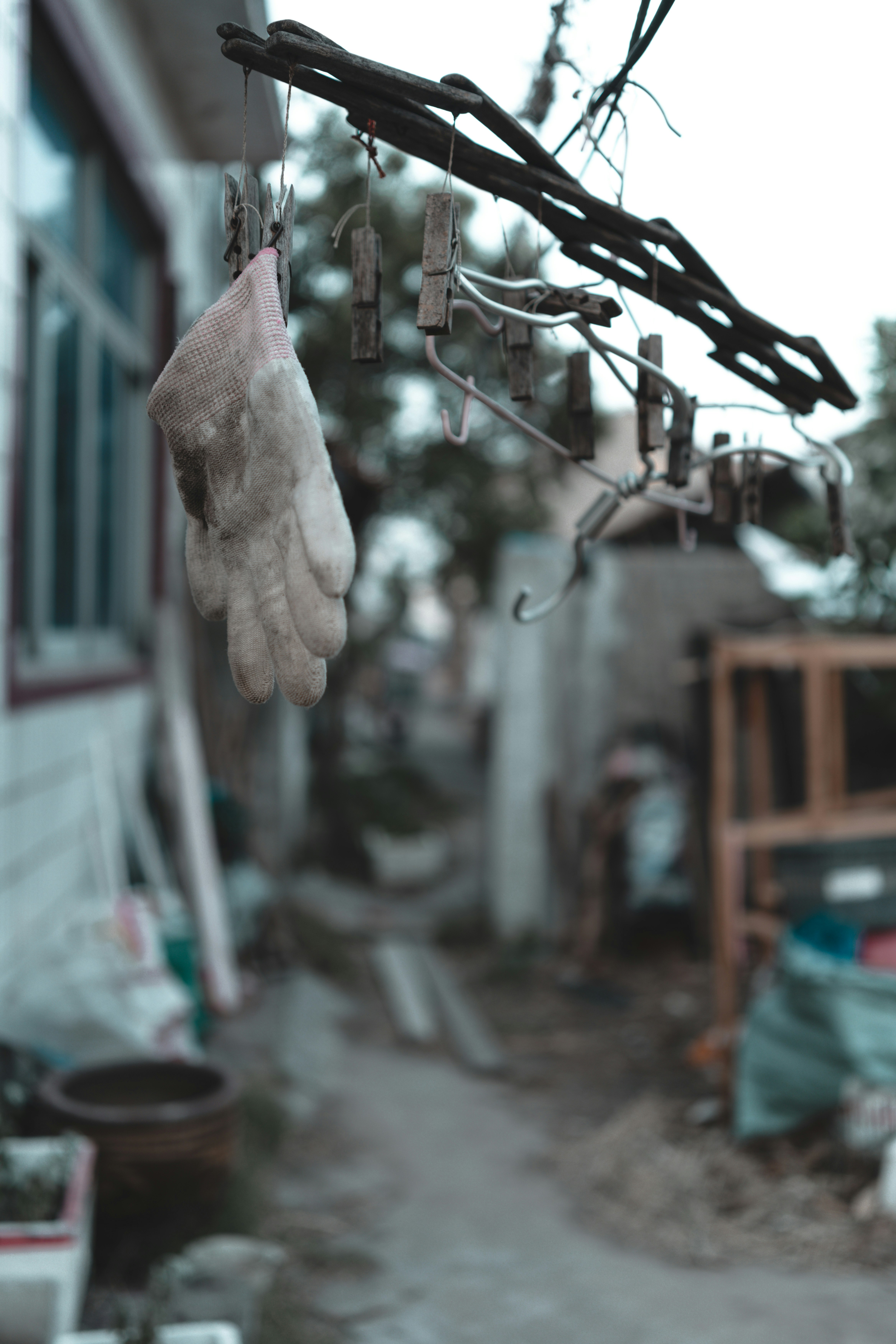 Threads of Daily Life: A Glimpse into Domesticity