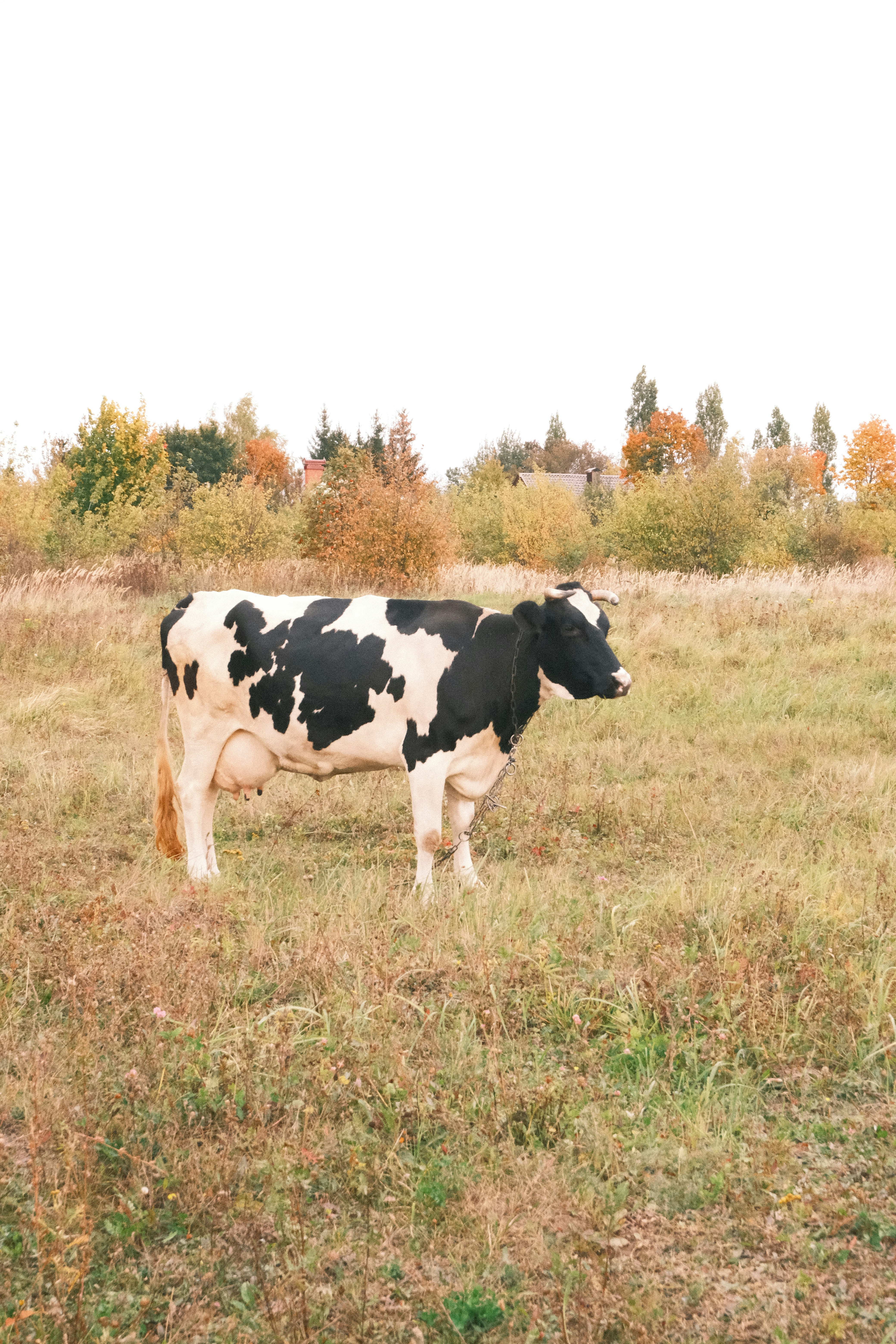 Photo by Tatiana Rudneva with Fujifilm X-T30 II