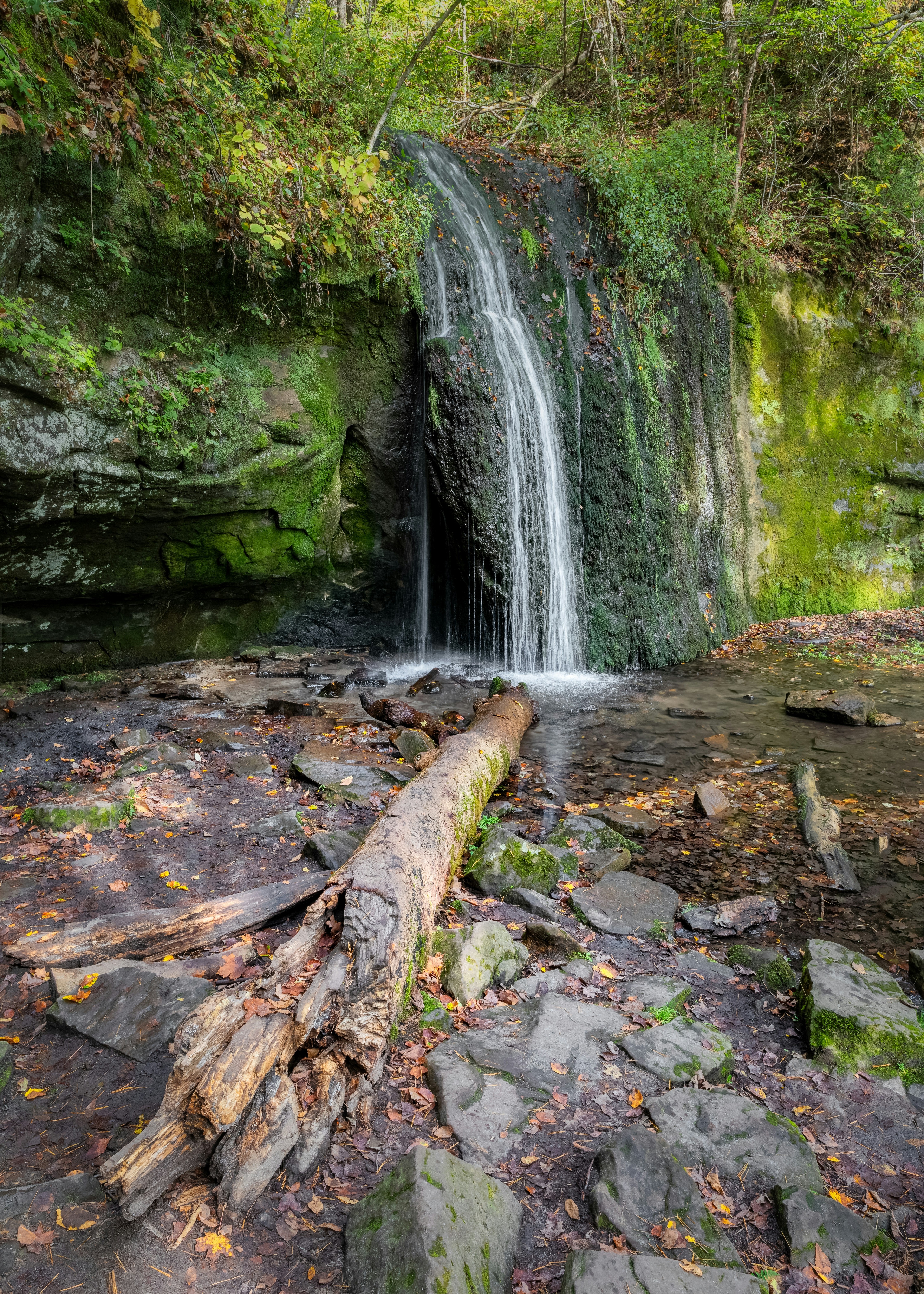 A scenic waterfall cascading over mossy rocks in a forest.