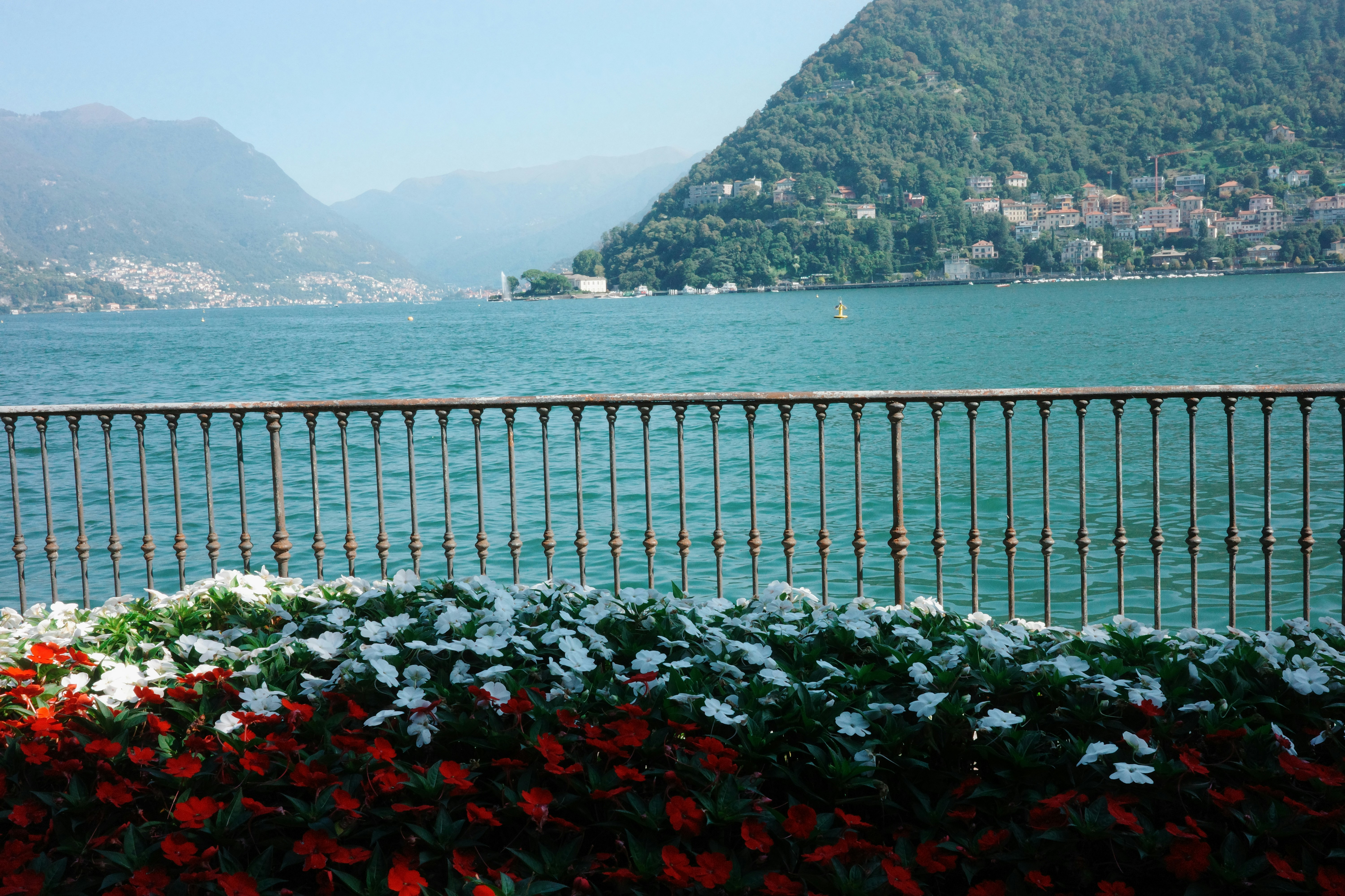 Red-White Flowers Framing a Lake Como Riverside