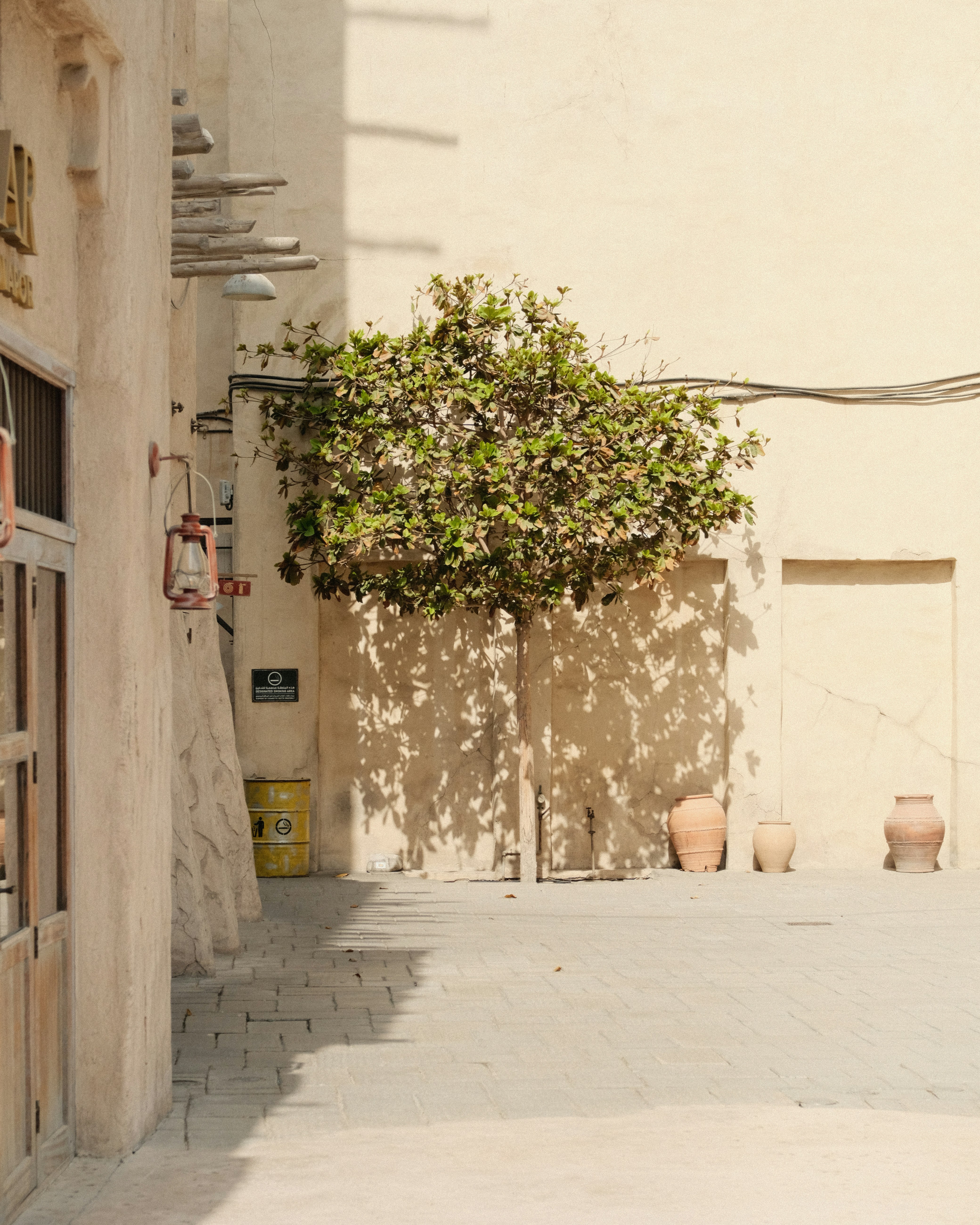 Whispers of Shade in a Sunlit Courtyard