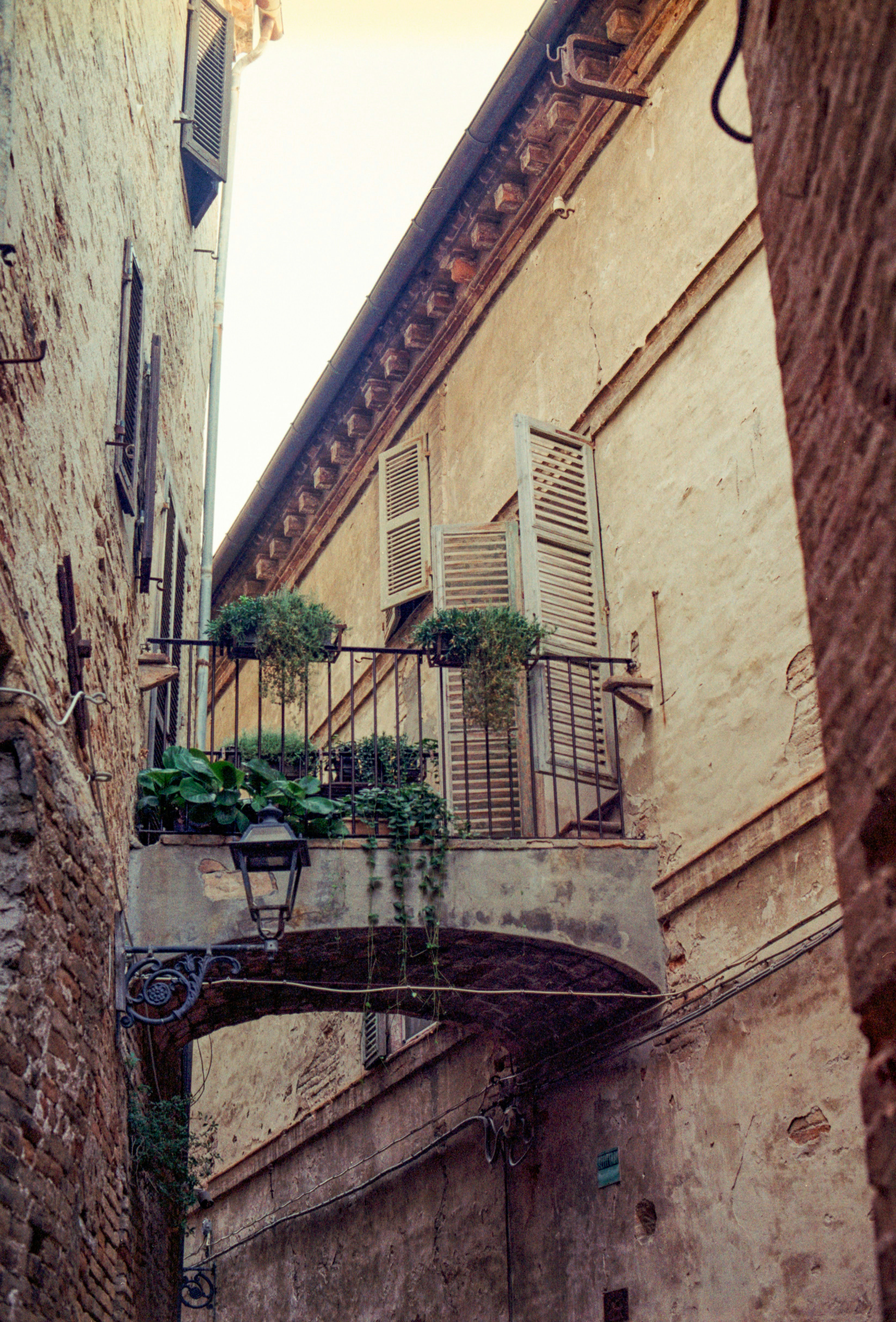 Photo by Chris Weiher with Plustek OpticFilm 8300i