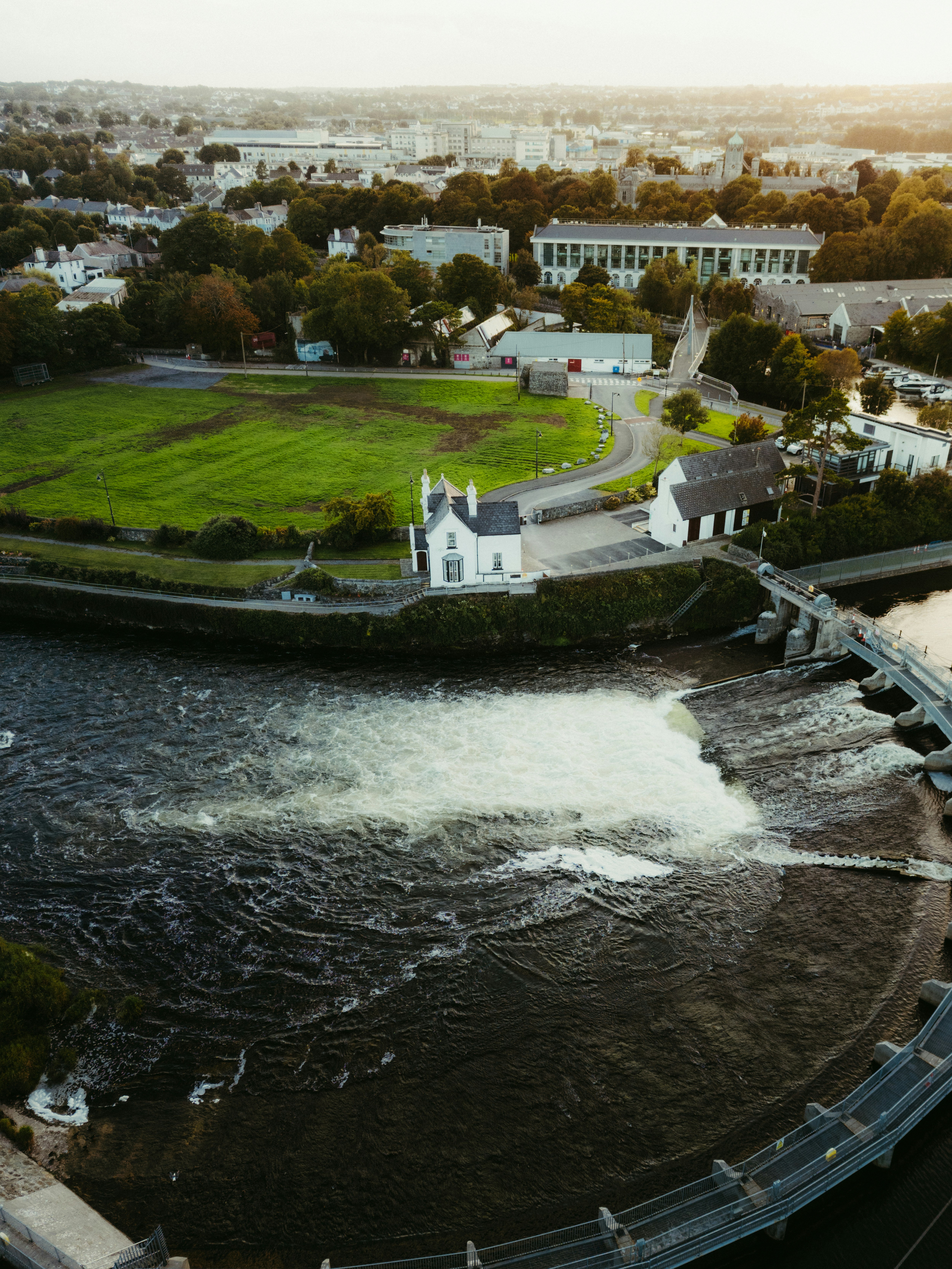 The Serene Confluence: Nature Meets Urban Life