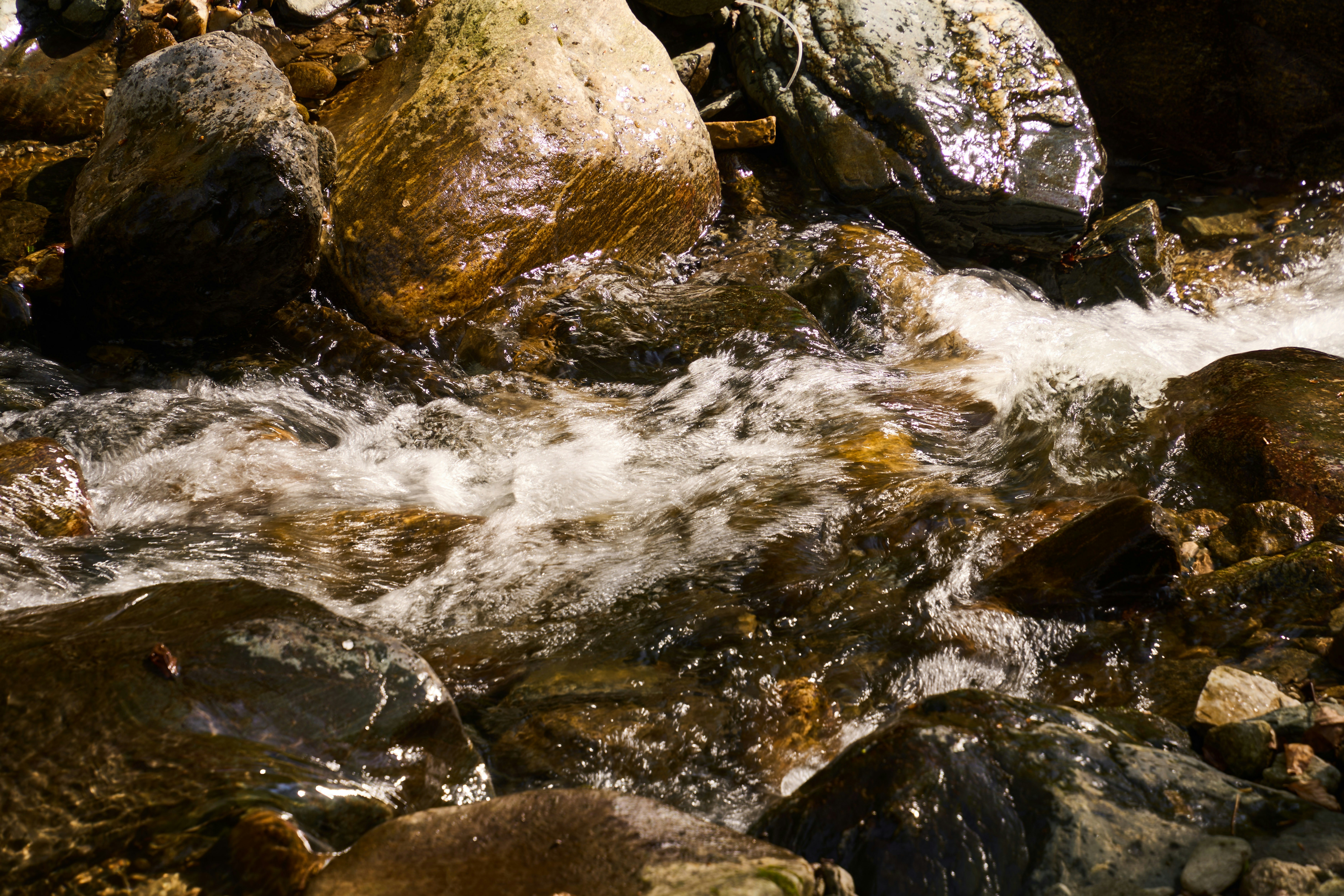 Clear water flowing over rocks in a stream photo – Free Natural Image ...