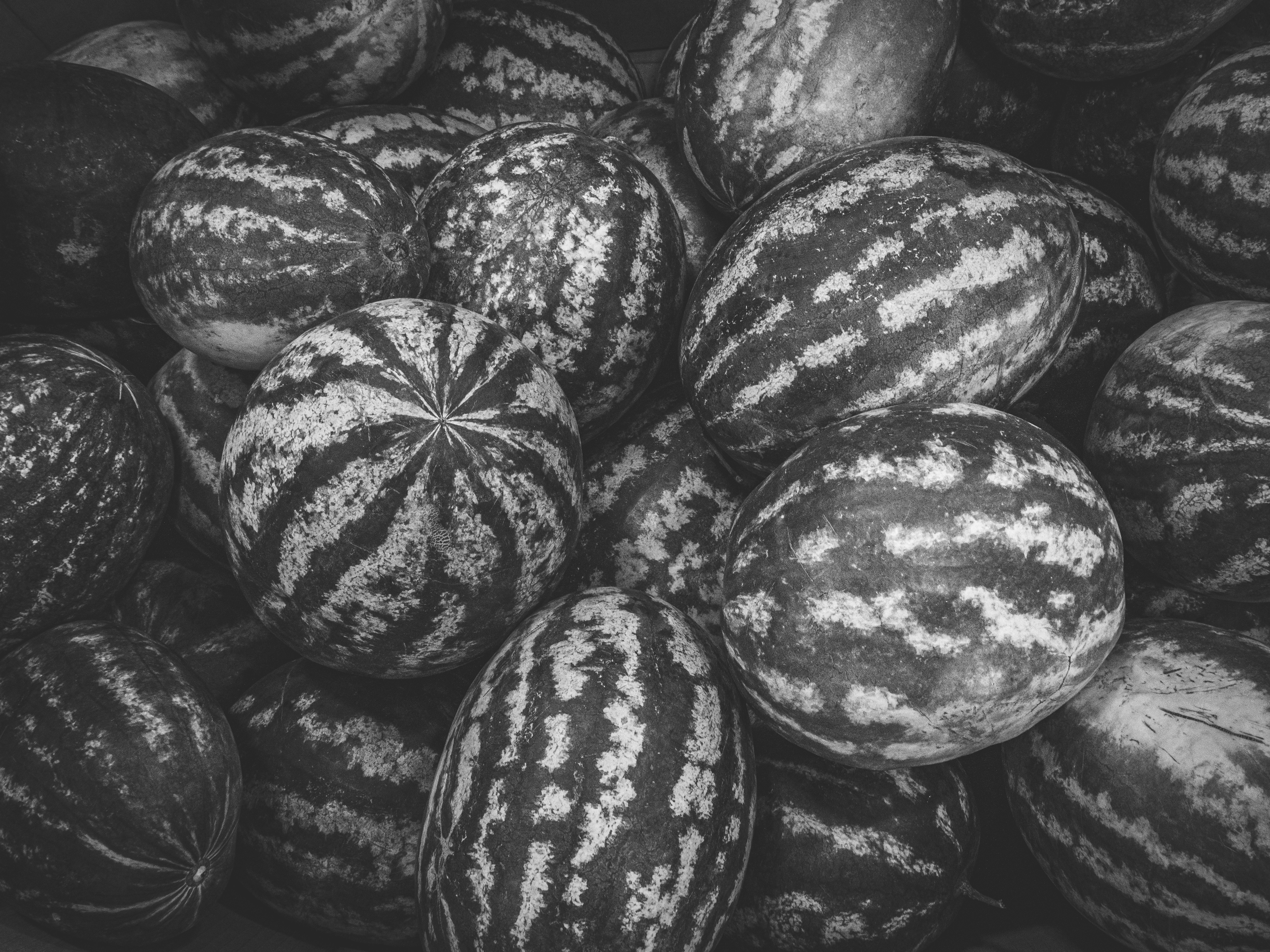 Black and white close-up photo of a pile of watermelons. The image focuses on natural textures, shapes, and organic patterns, creating an abstract visual rhythm. | A pile of striped watermelons in black and white