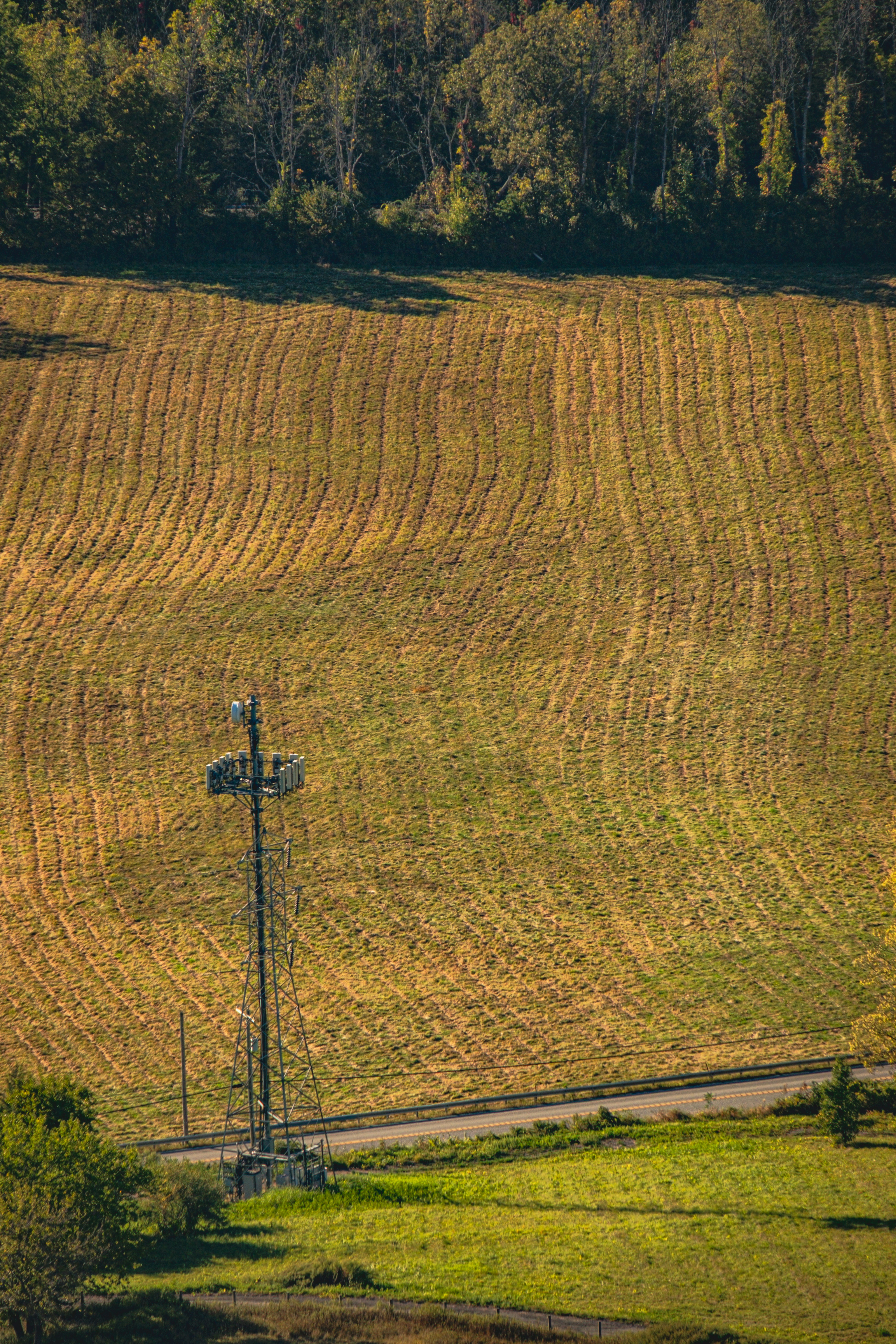 view from the top of stairway to heaven trail | Cell tower in a harvested field with trees
