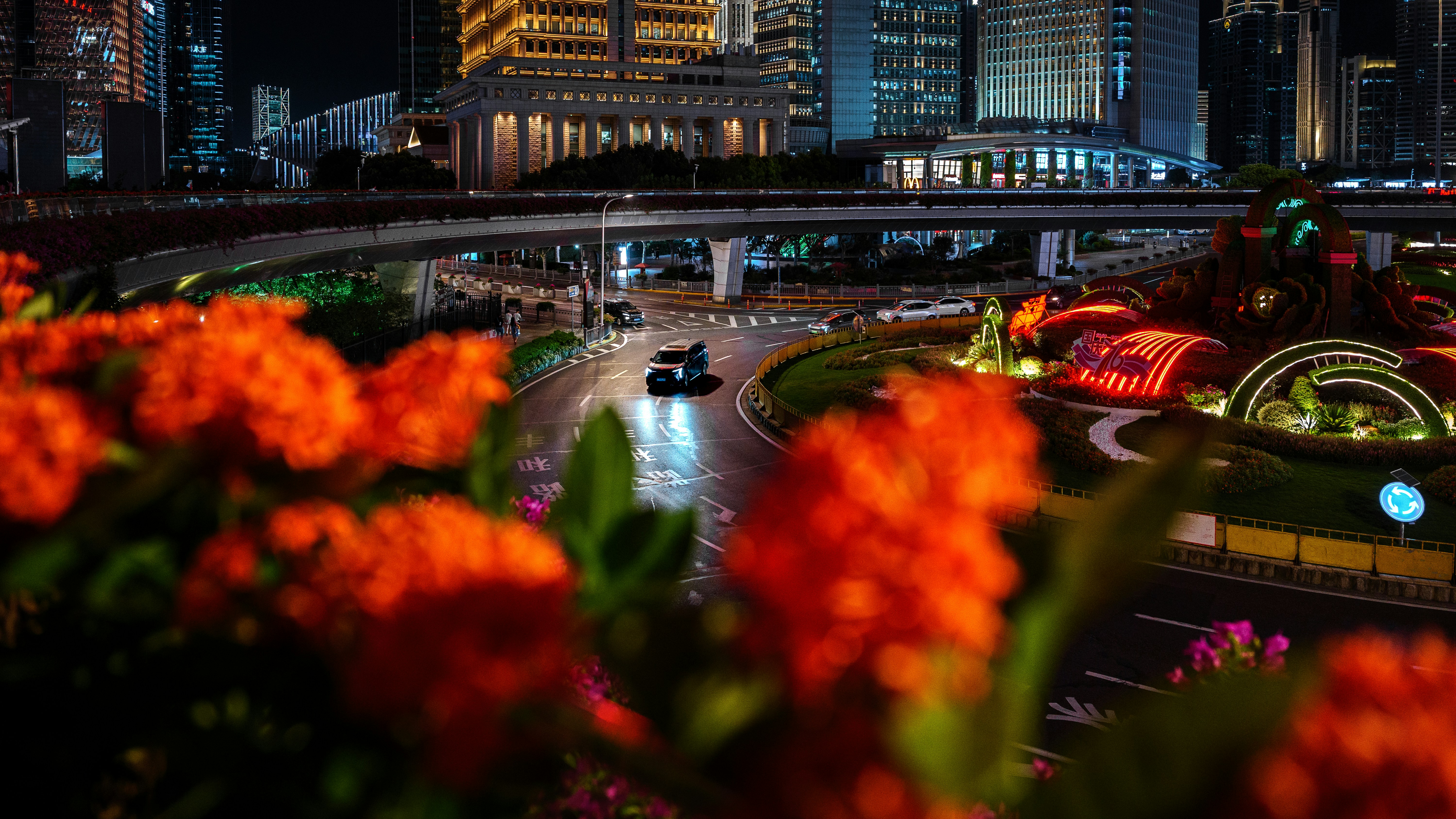 Urban Nightscape: A Dance of Lights and Flora