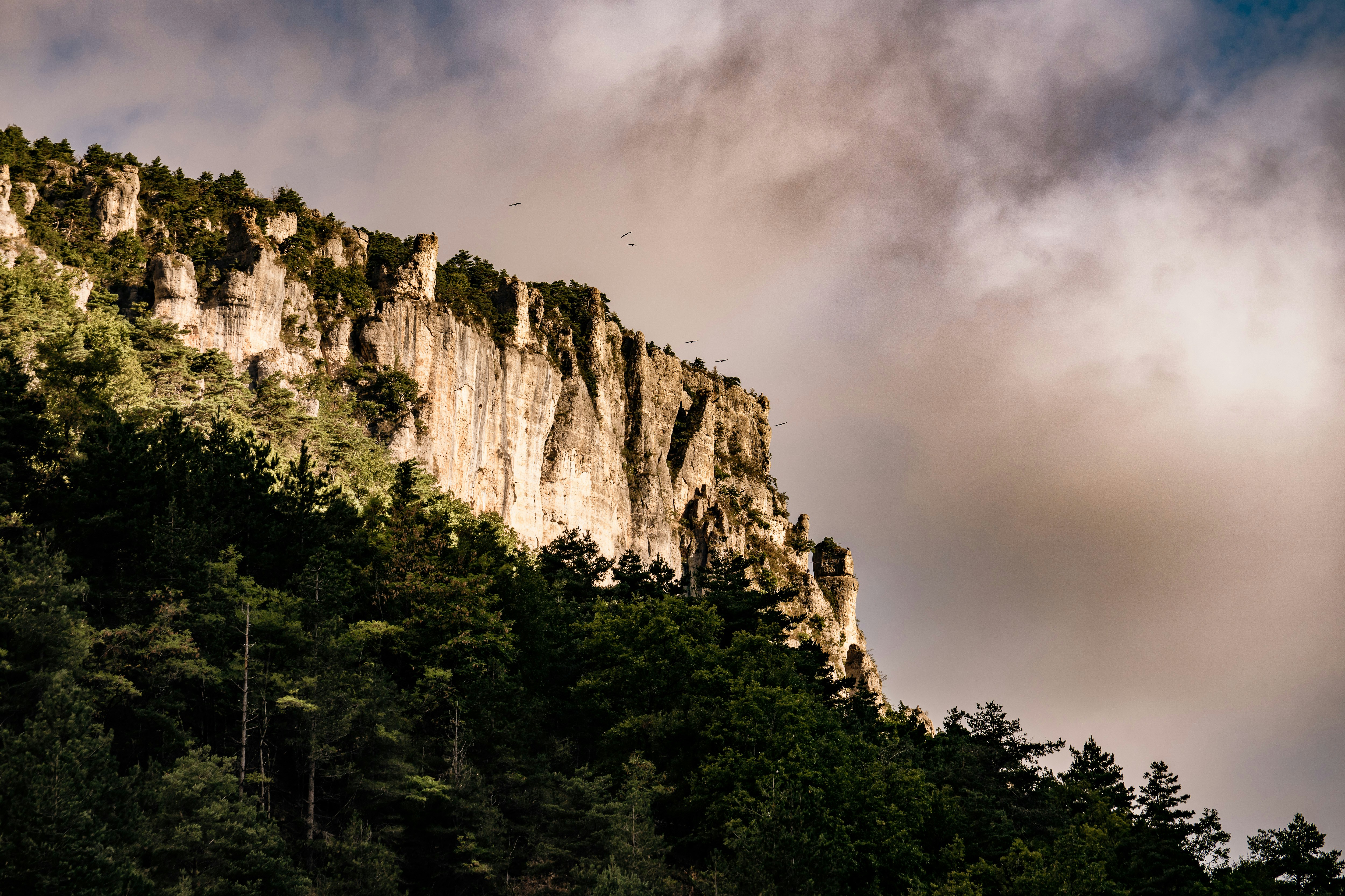 Majestic cliffs rising above a dense forest, illuminated by soft, diffused light under a cloudy sky.