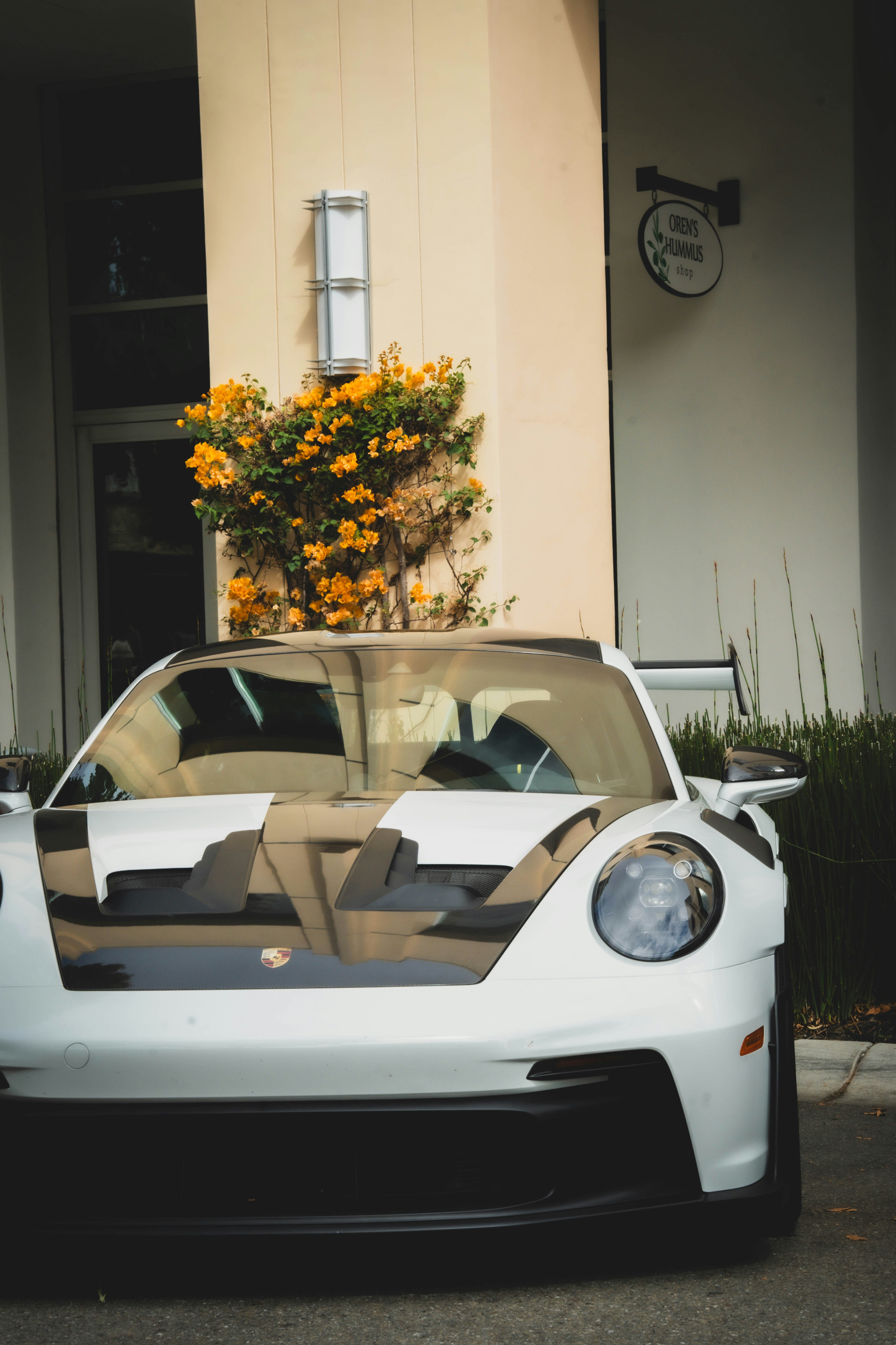 Porsche in Front of Bloom: Concrete and Citrus Contrast