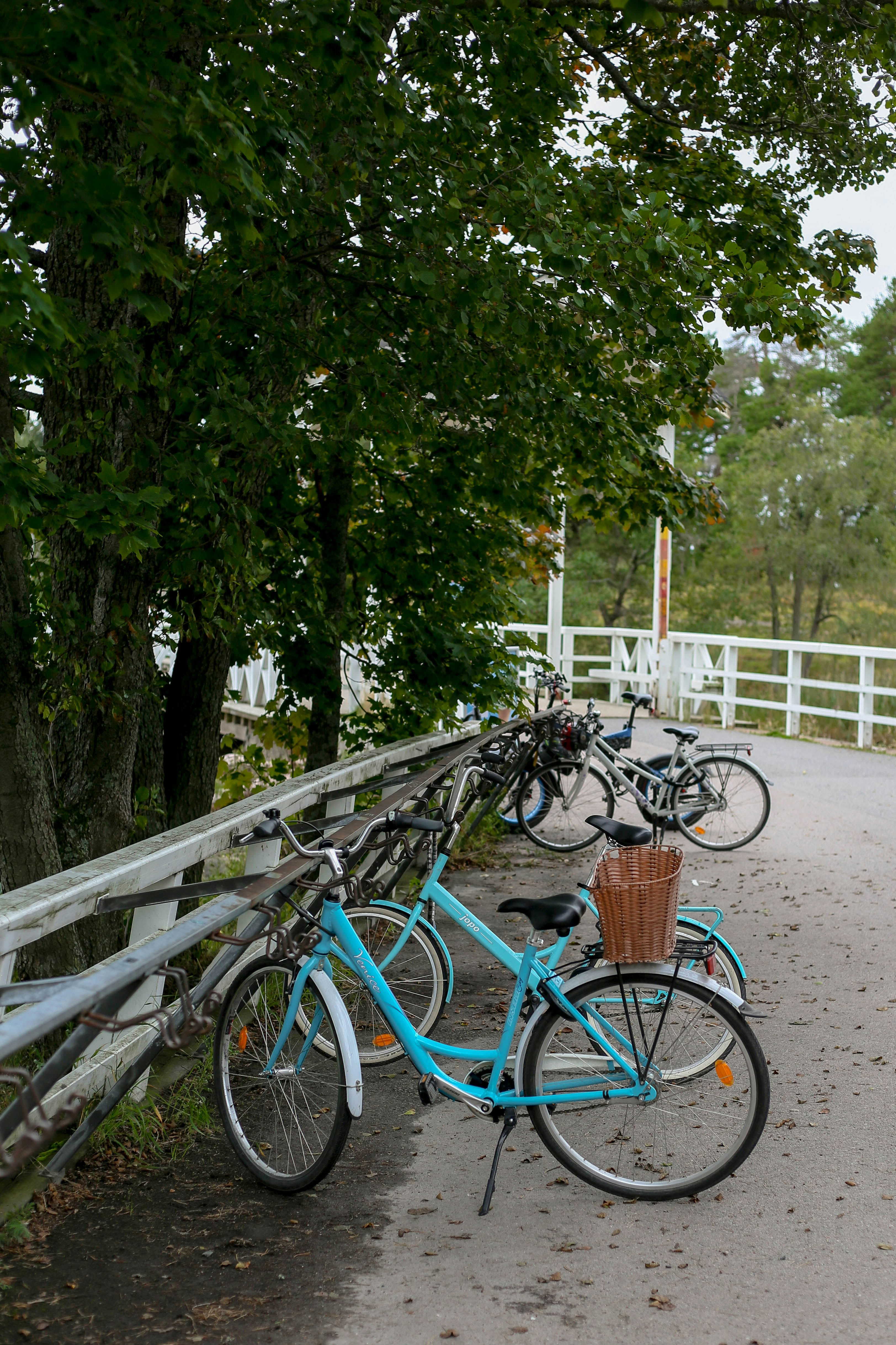 bicycle | Several bicycles parked near a white railing