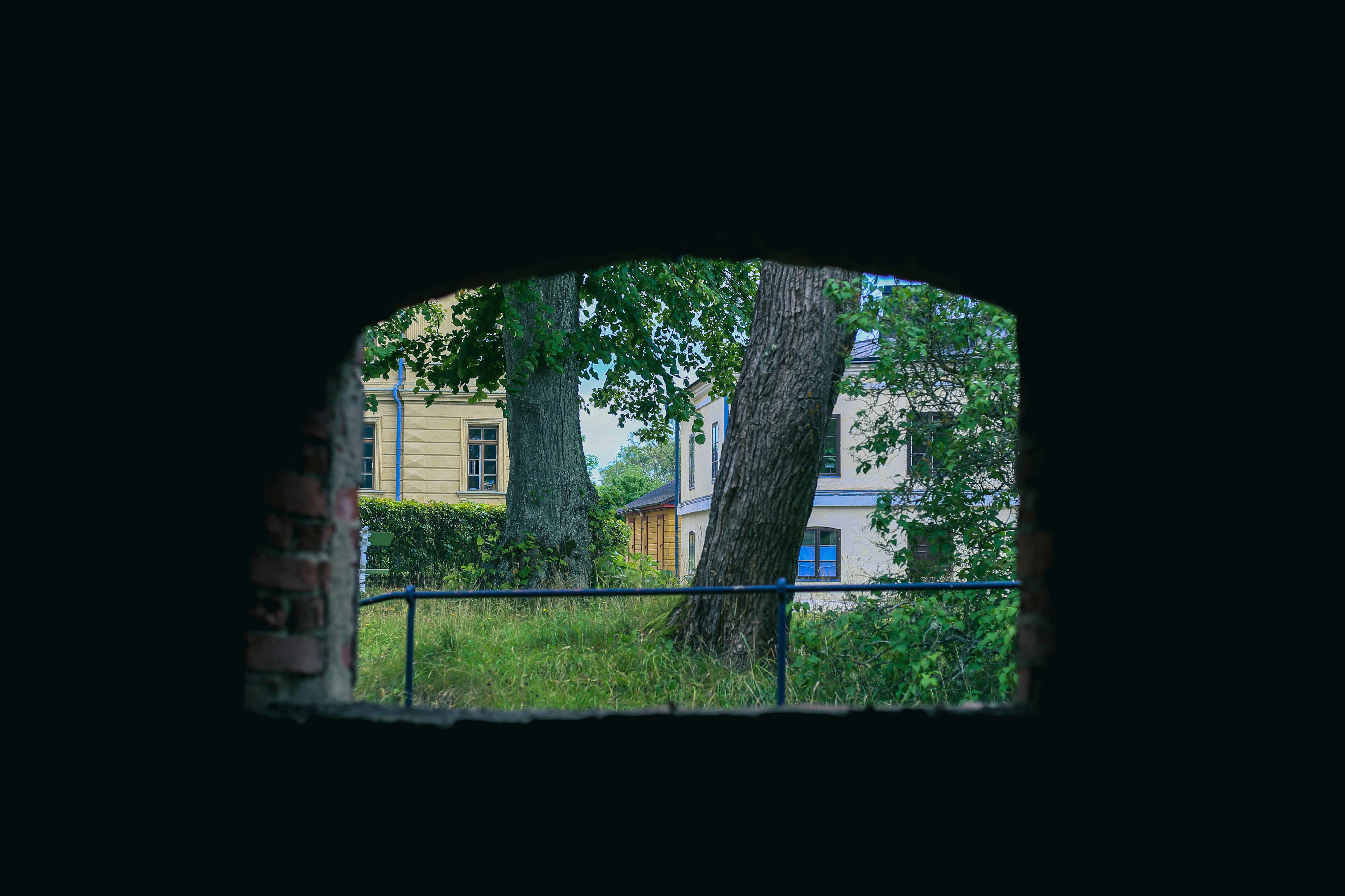 Brick-Framed Vista: A Quiet Urban Glimpse Through the Opening