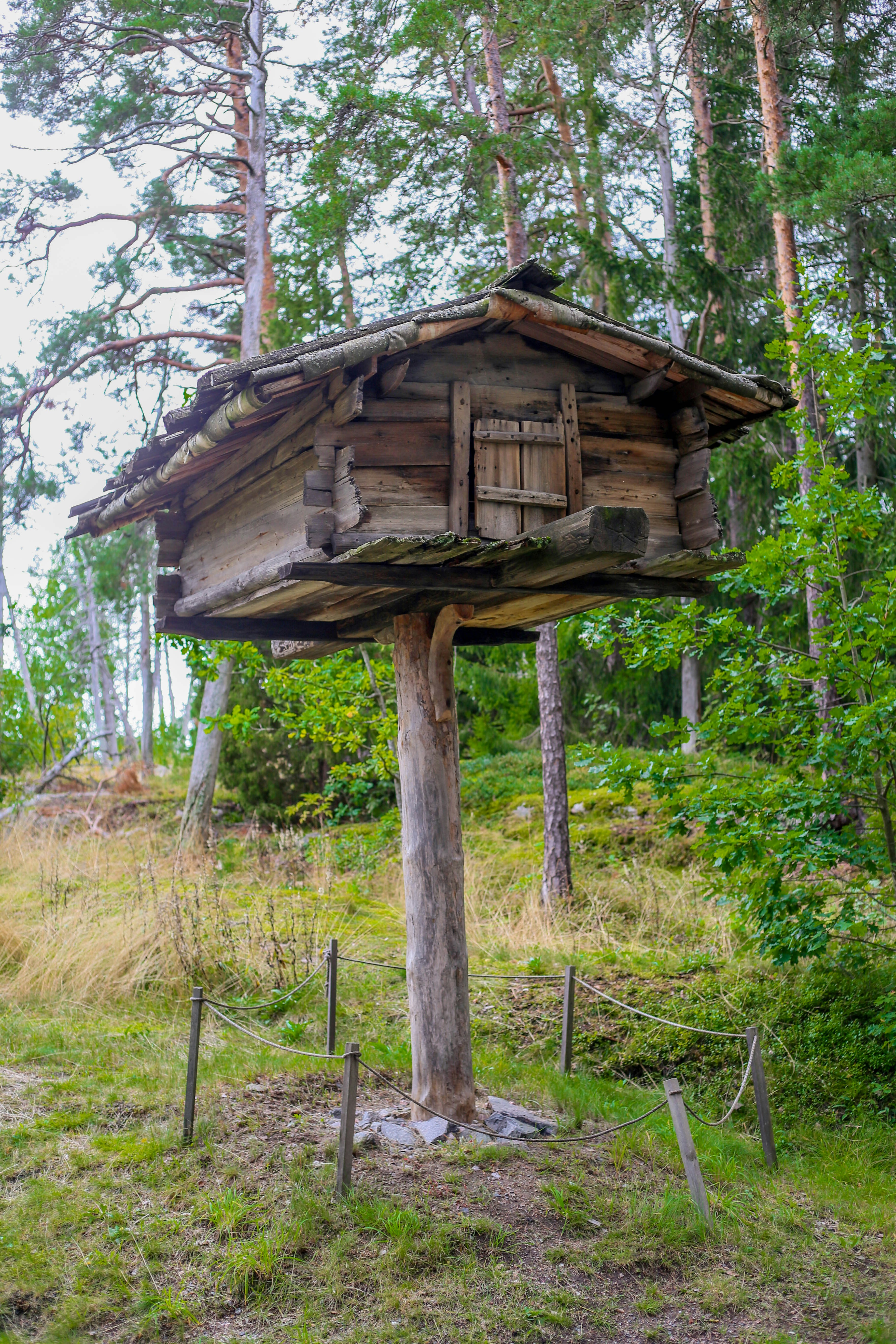 Wooden structure perched on a tall post amidst lush greenery, surrounded by trees and grass. A unique blend of architecture and nature.