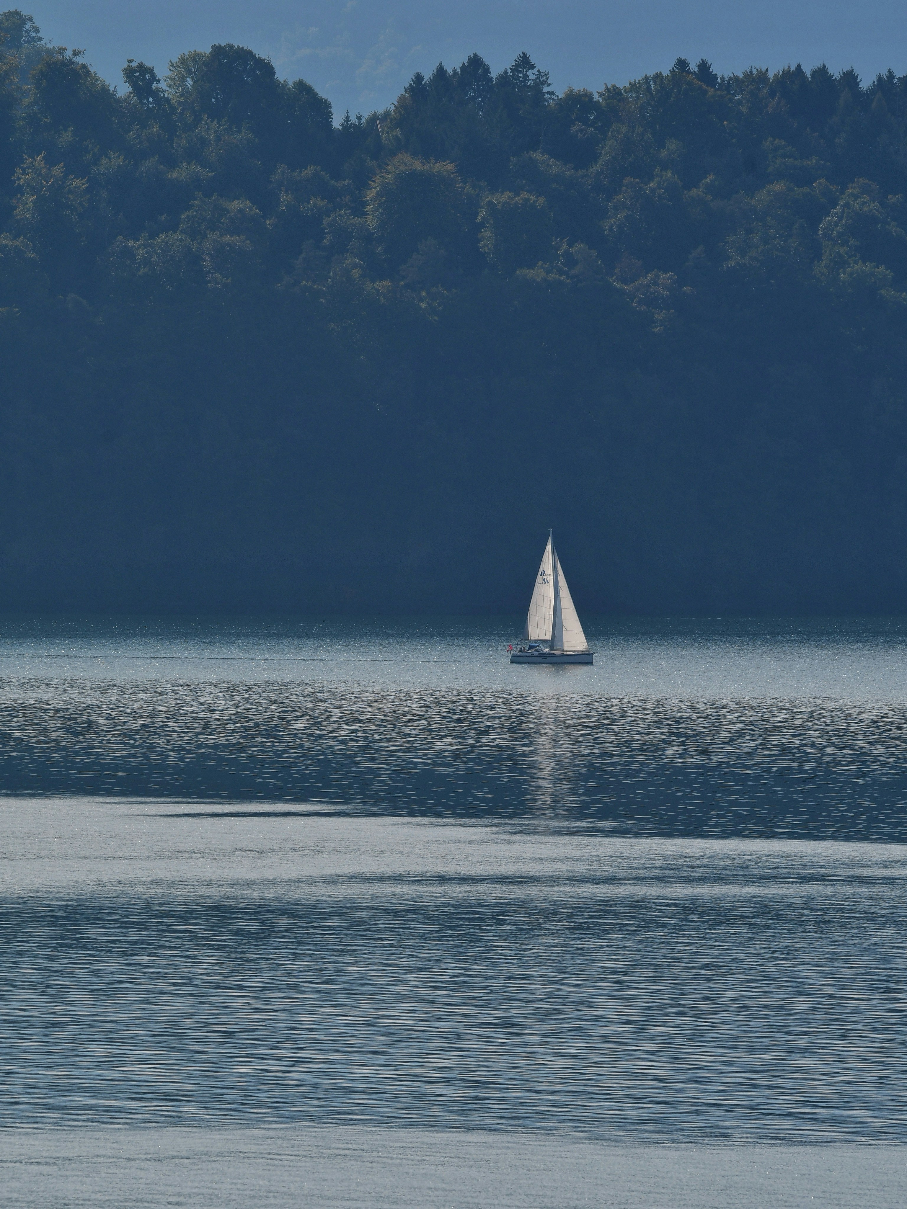 🚤 12 Must-Know Recreational Boating Industry Statistics (2026) - Boat ...