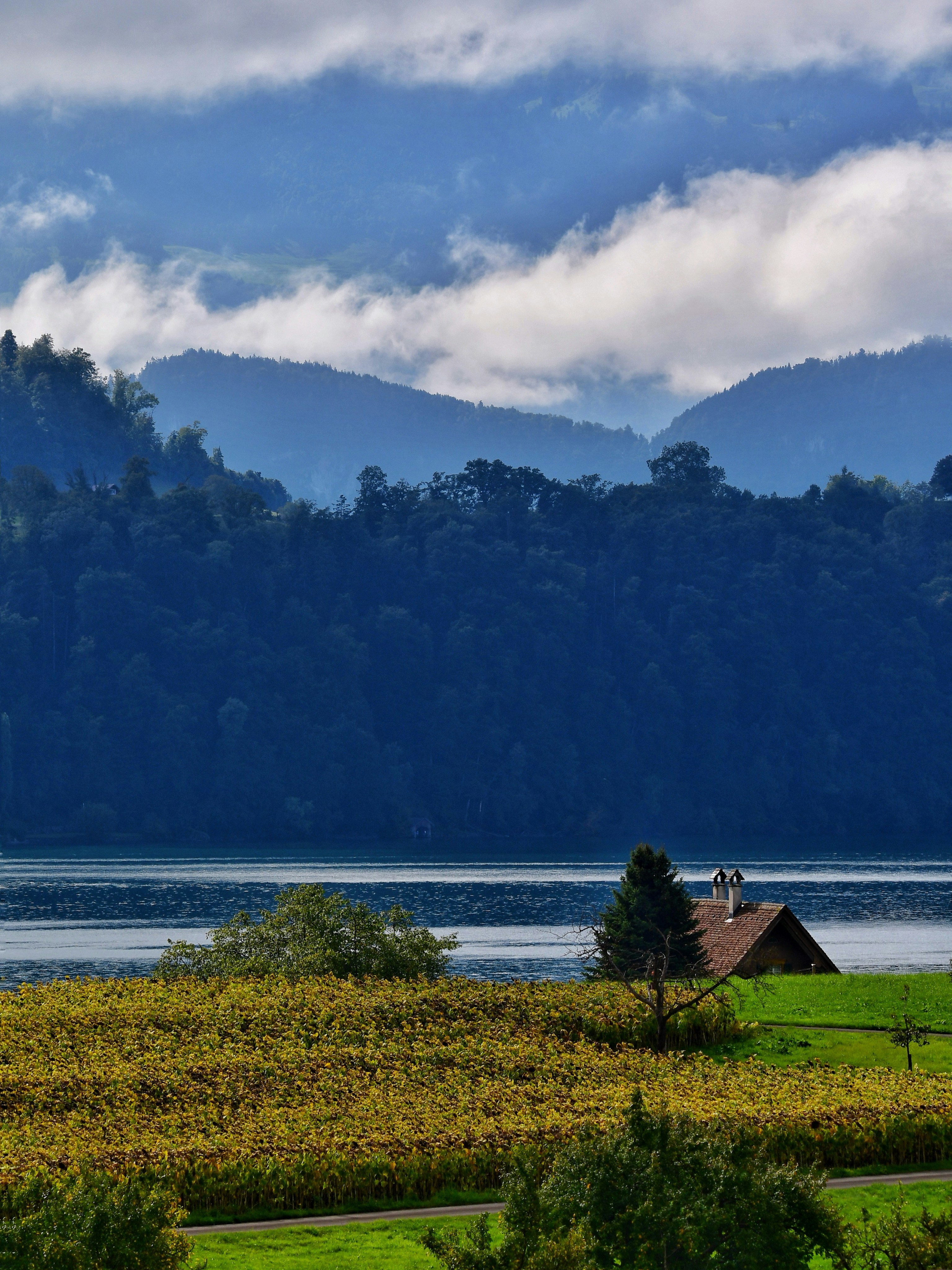 Lakeside Cottage on a Quiet Shore Beneath Blue-Hued Hills
