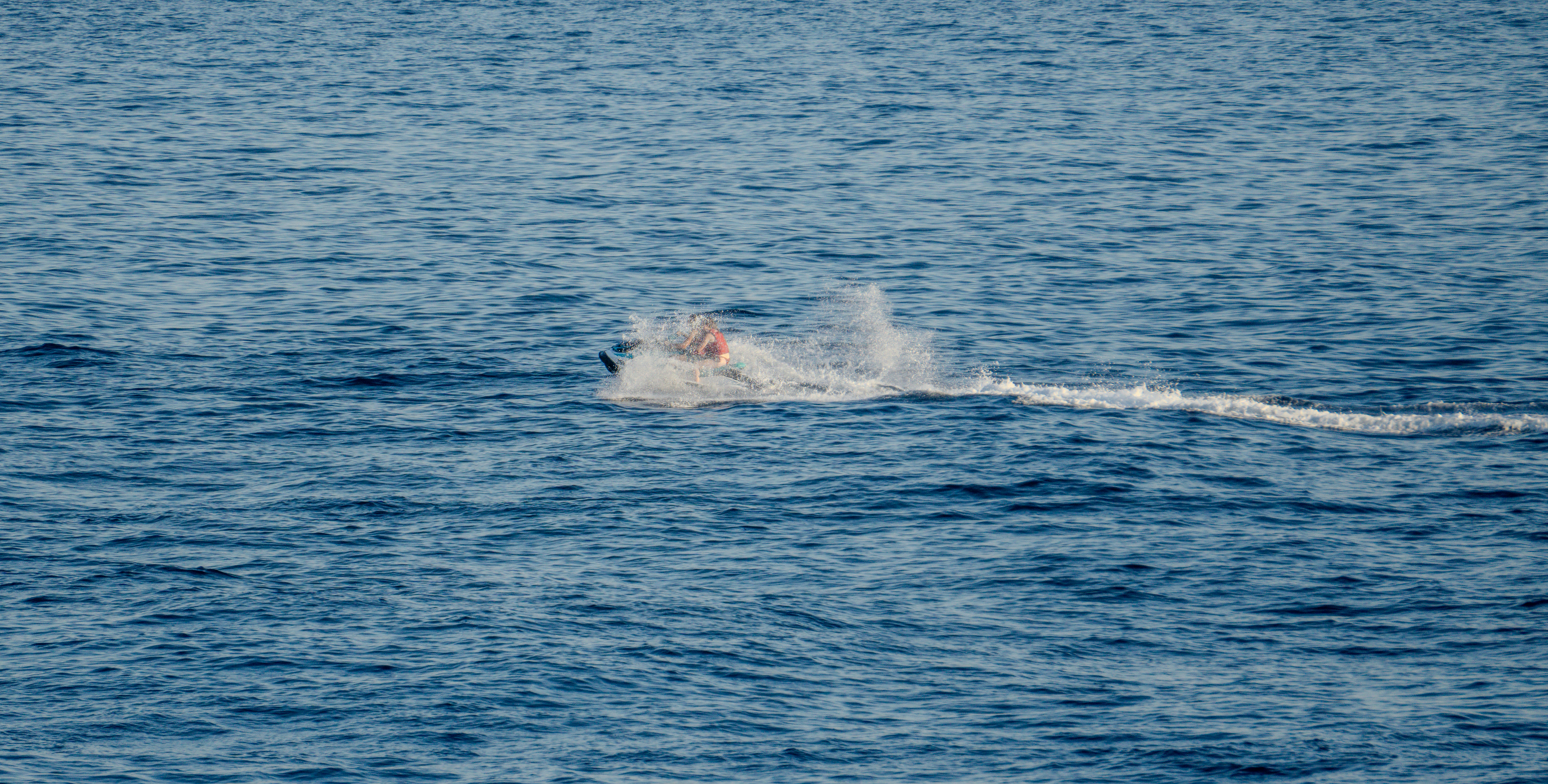 Dynamic Dance of the Sea