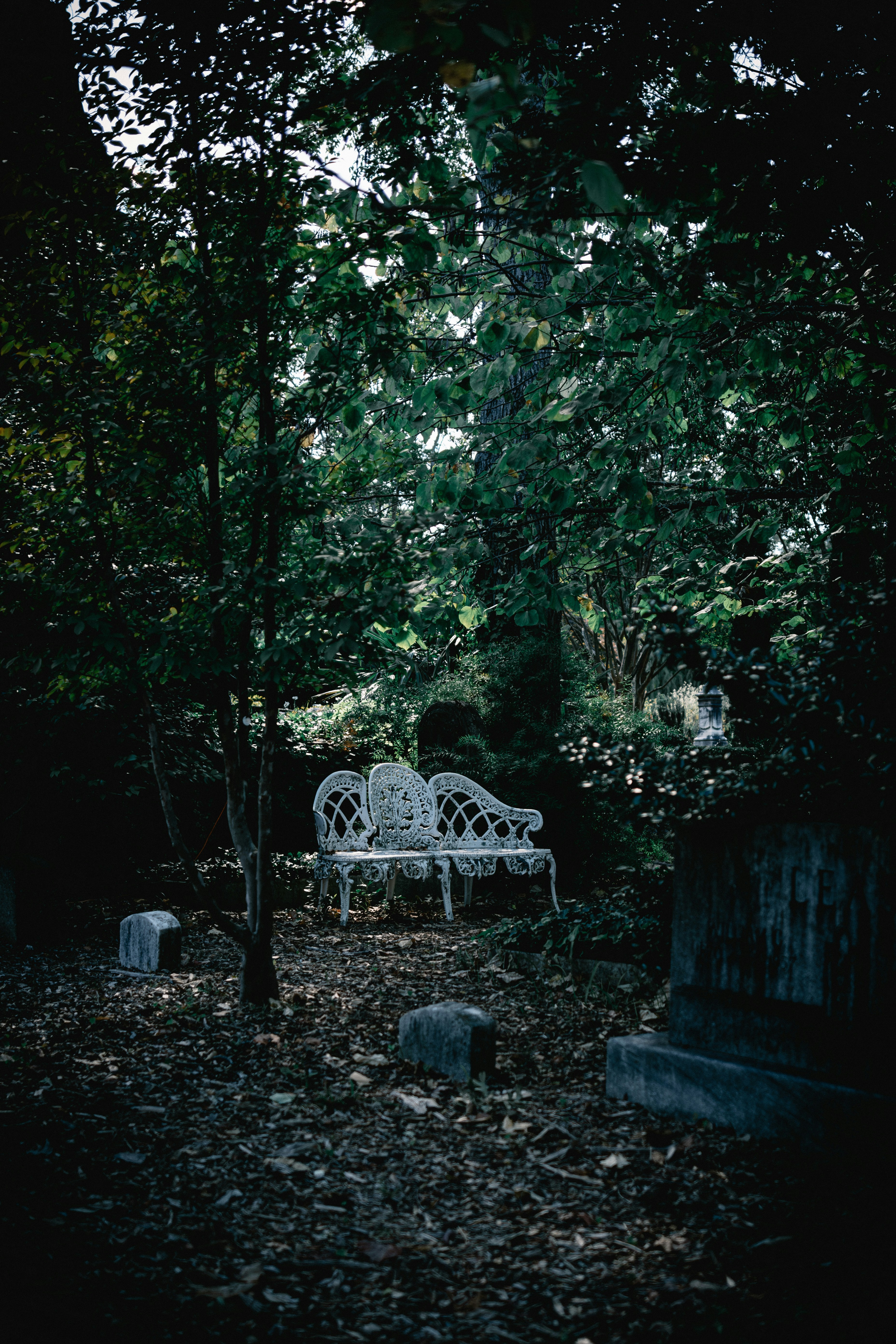 Ornate white bench in a dark, overgrown cemetery.