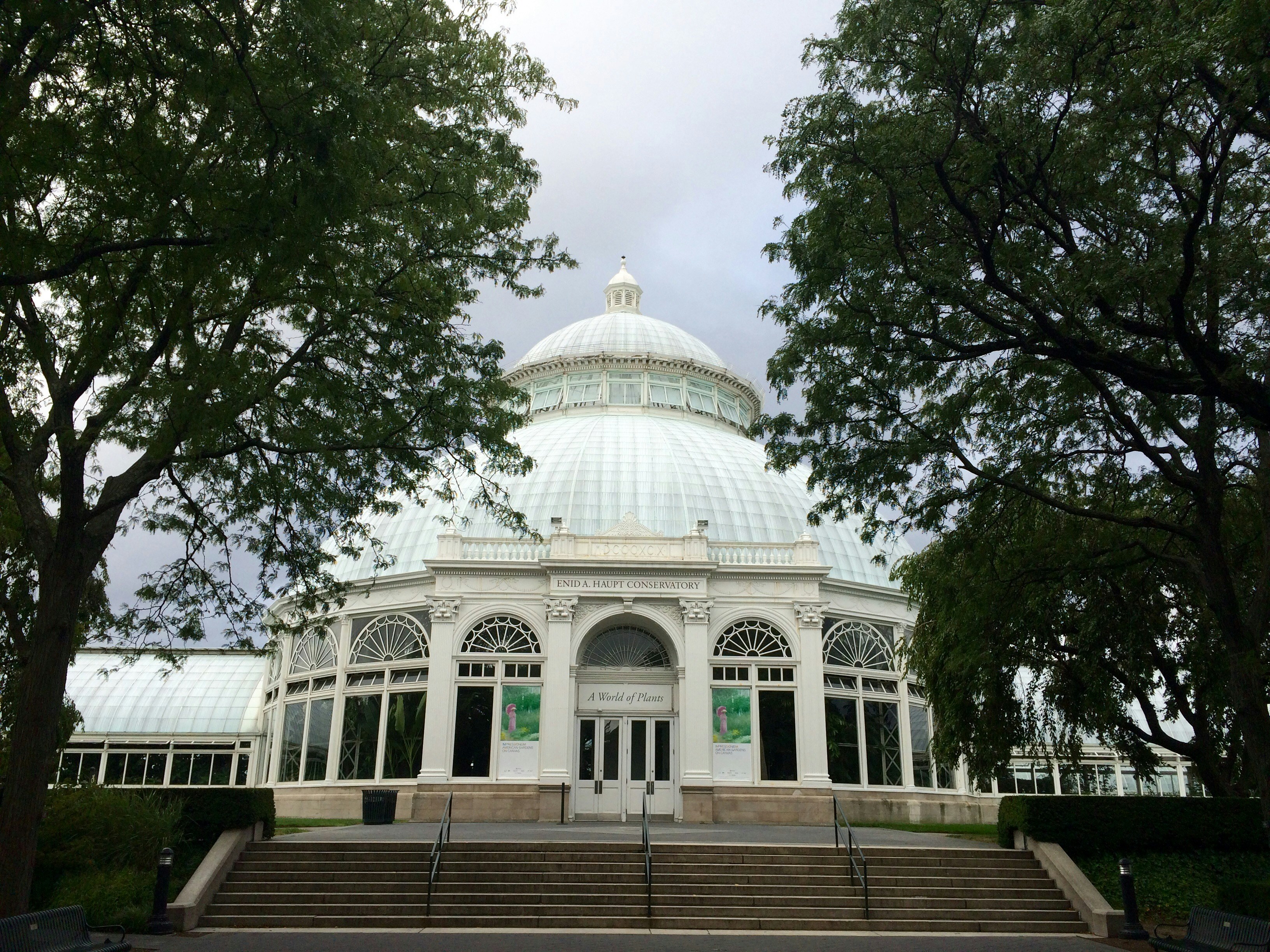 Grand conservatory building with large trees framing entrance.