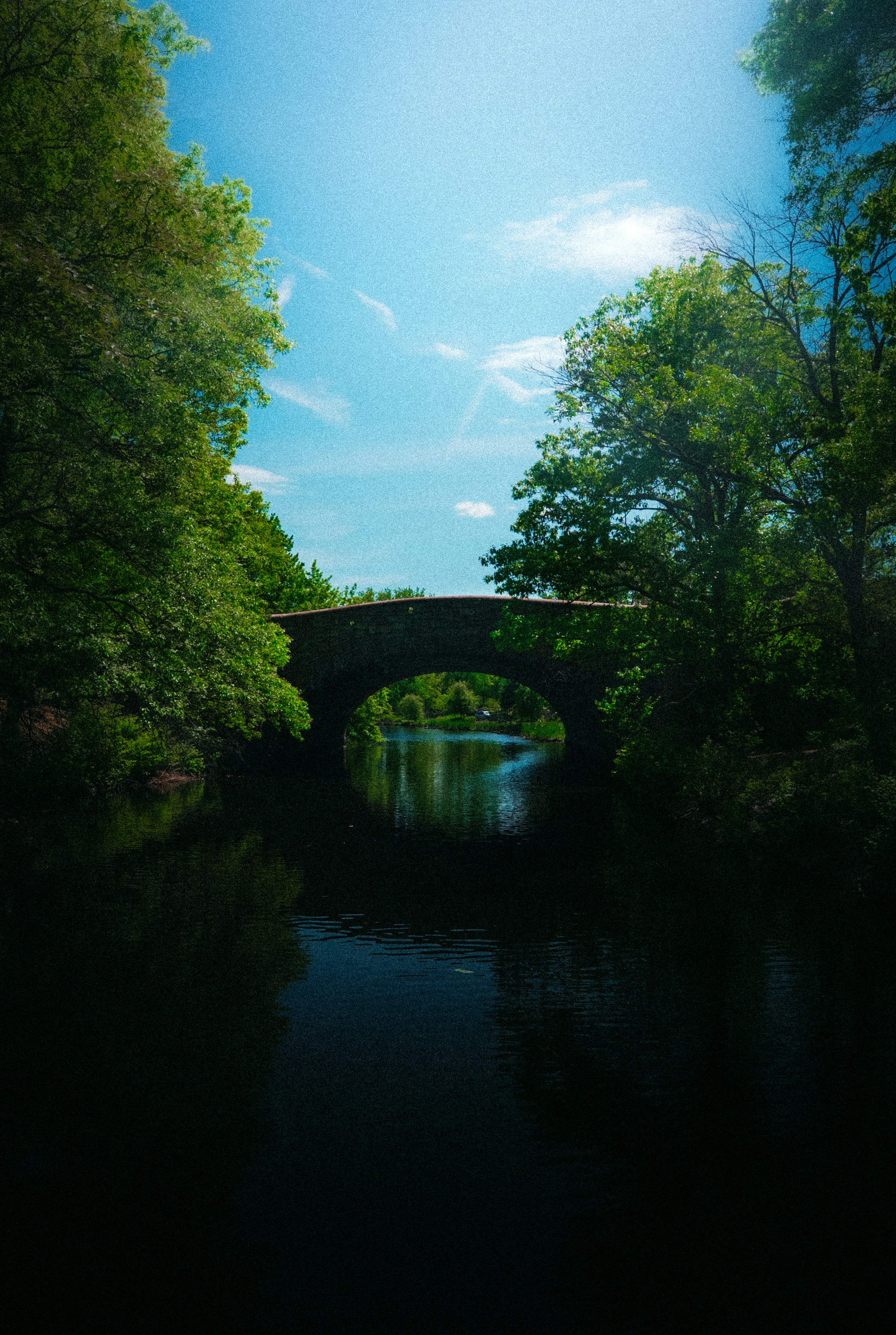 Whispers of Nature Beneath the Arch