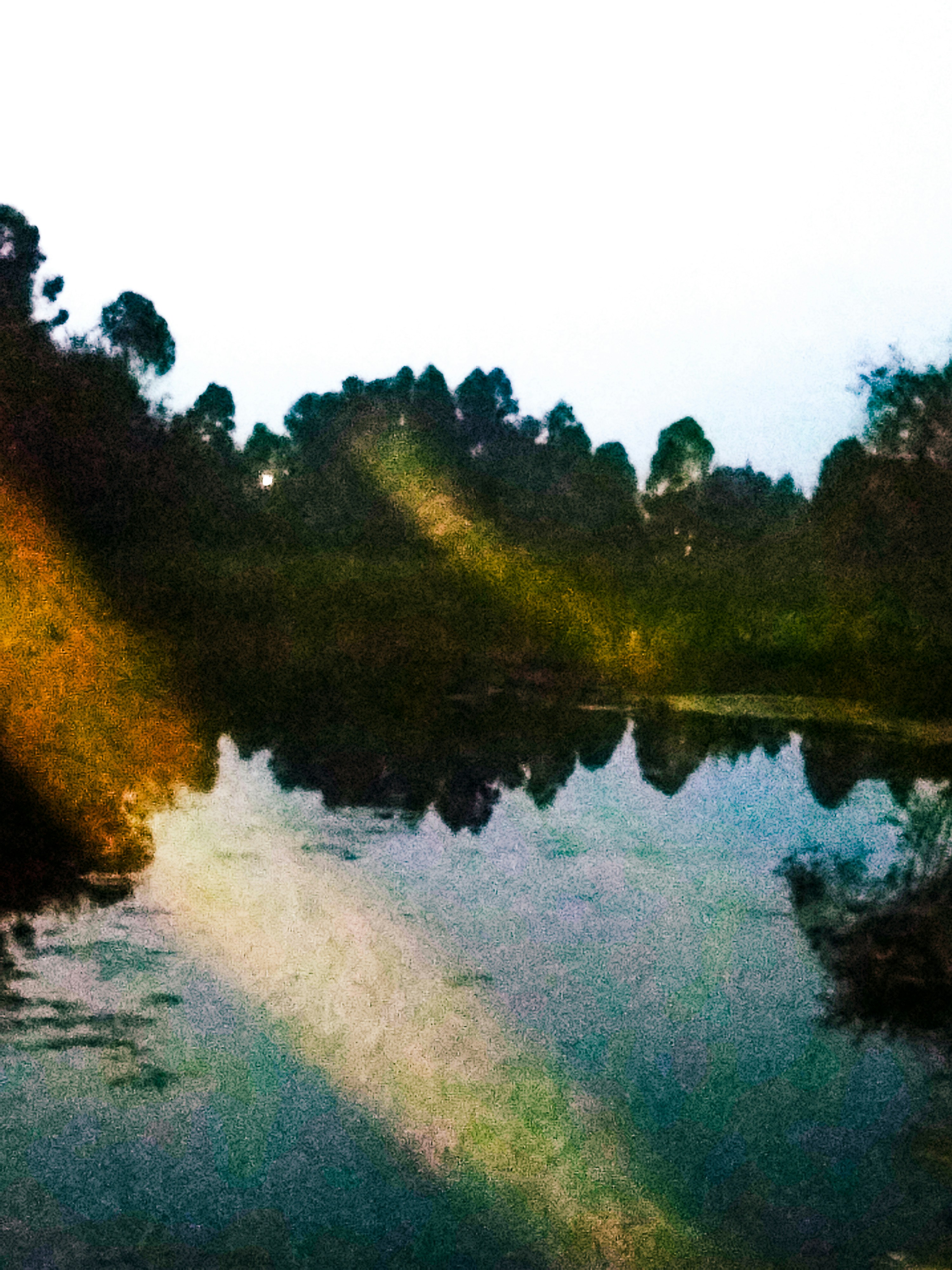 Outside in the night | Sunbeams shine on a lake surrounded by trees.