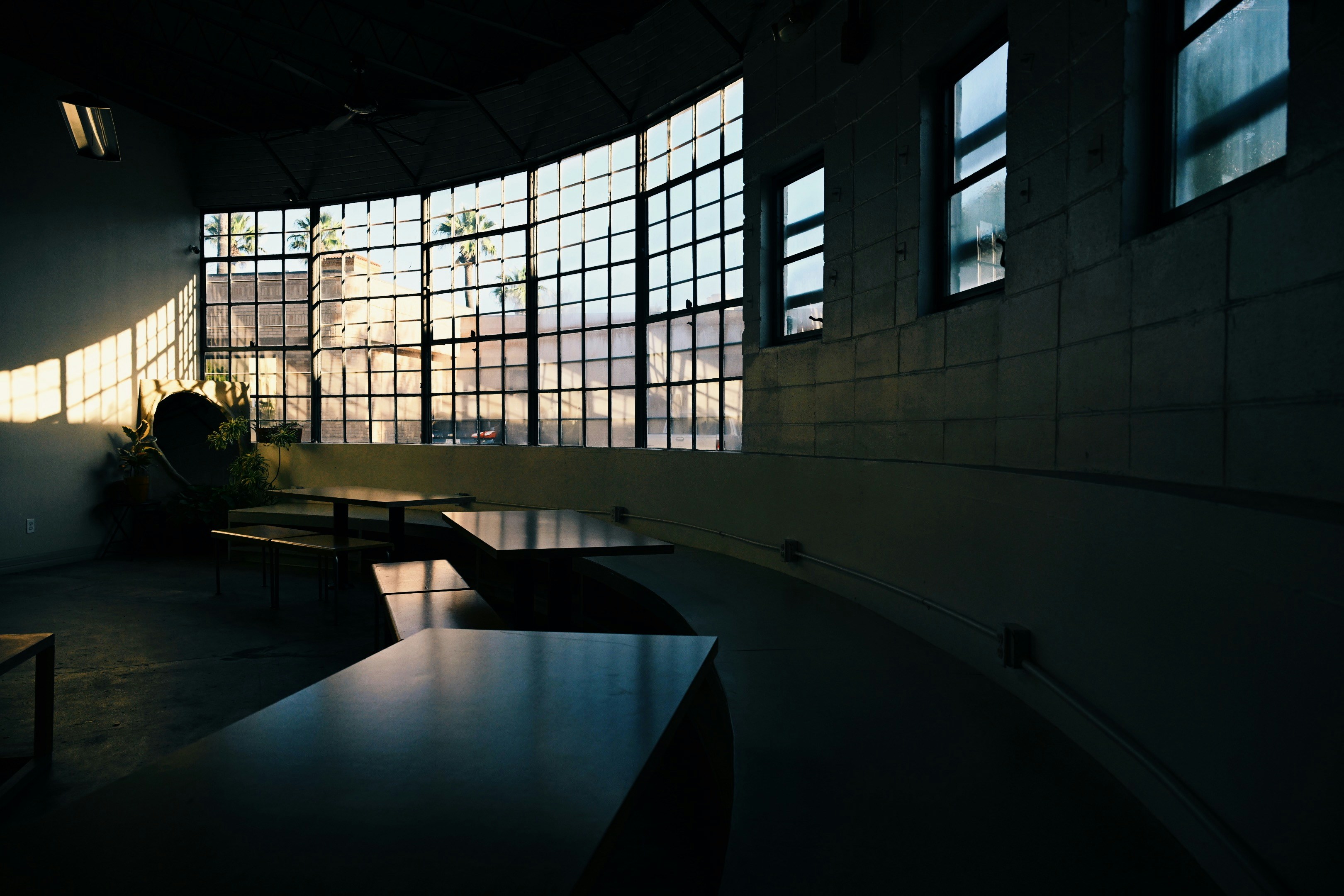 Interior space featuring a curved wall of large windows casting soft shadows and illuminating minimalist furniture. A hint of greenery adds warmth to the modern design.