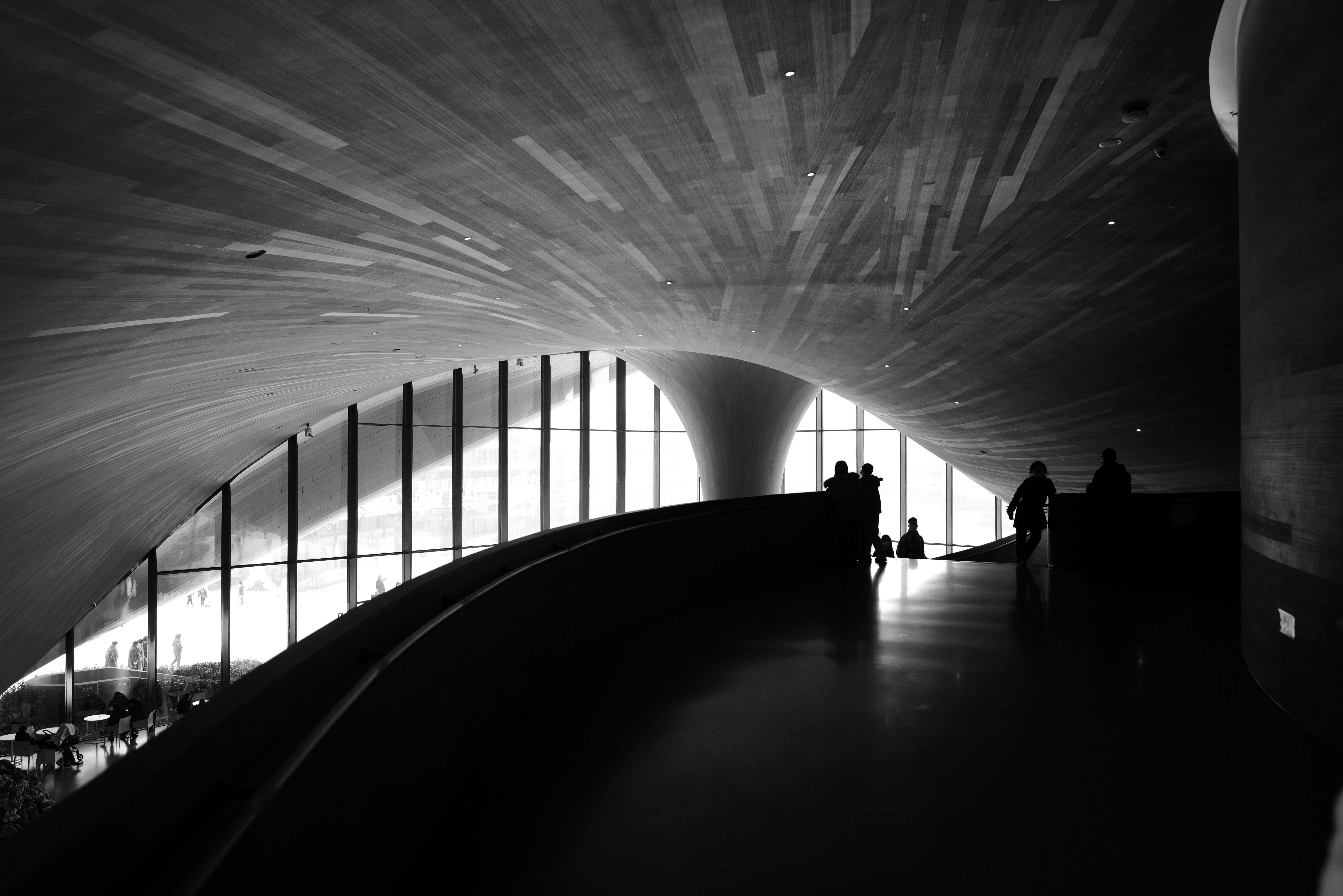 Curves of Light and Shadow: A Journey Through Architectural Elegance