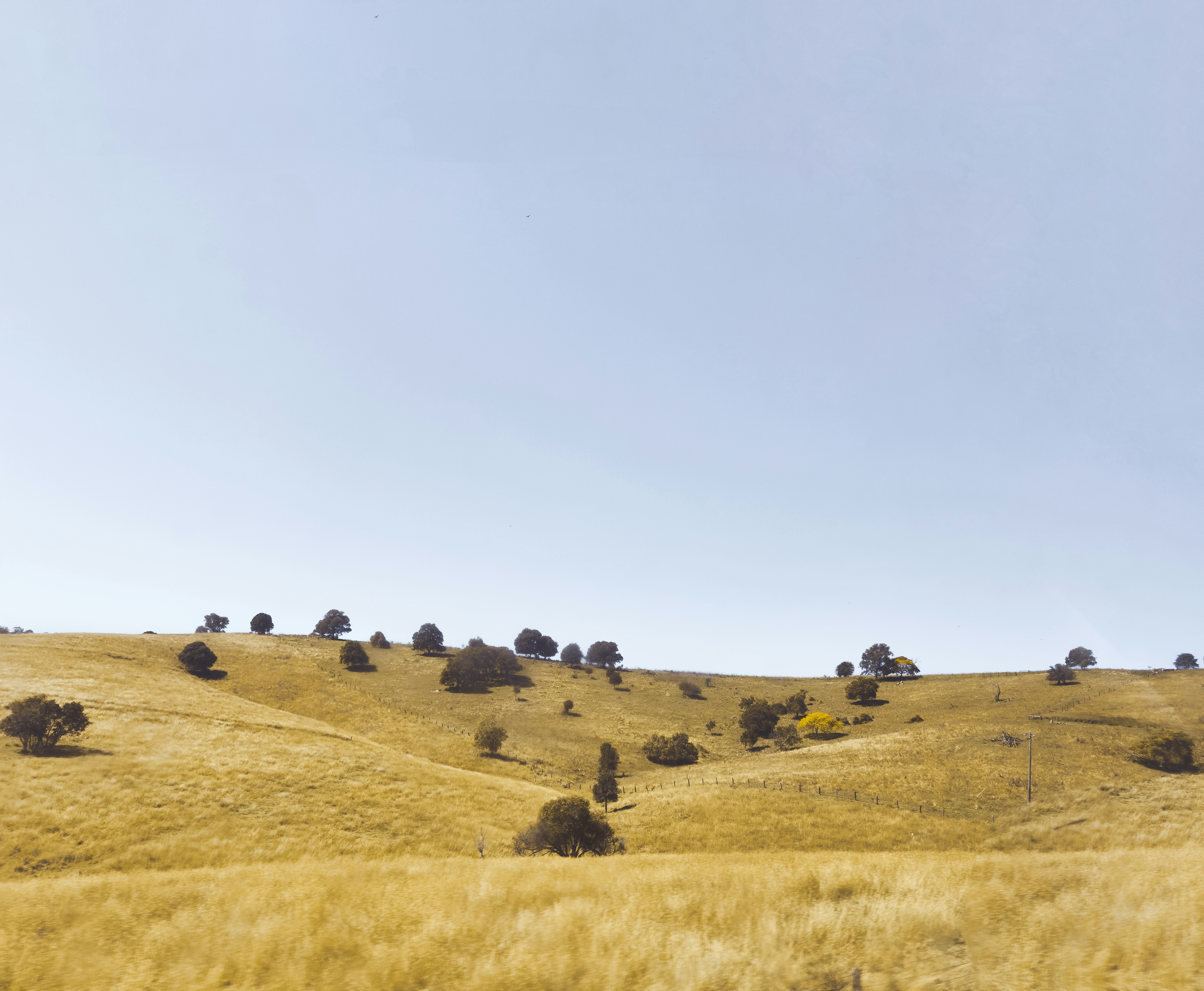 Rolling hills adorned with sparse trees and golden grass, showcasing the tranquility of a sunlit landscape.