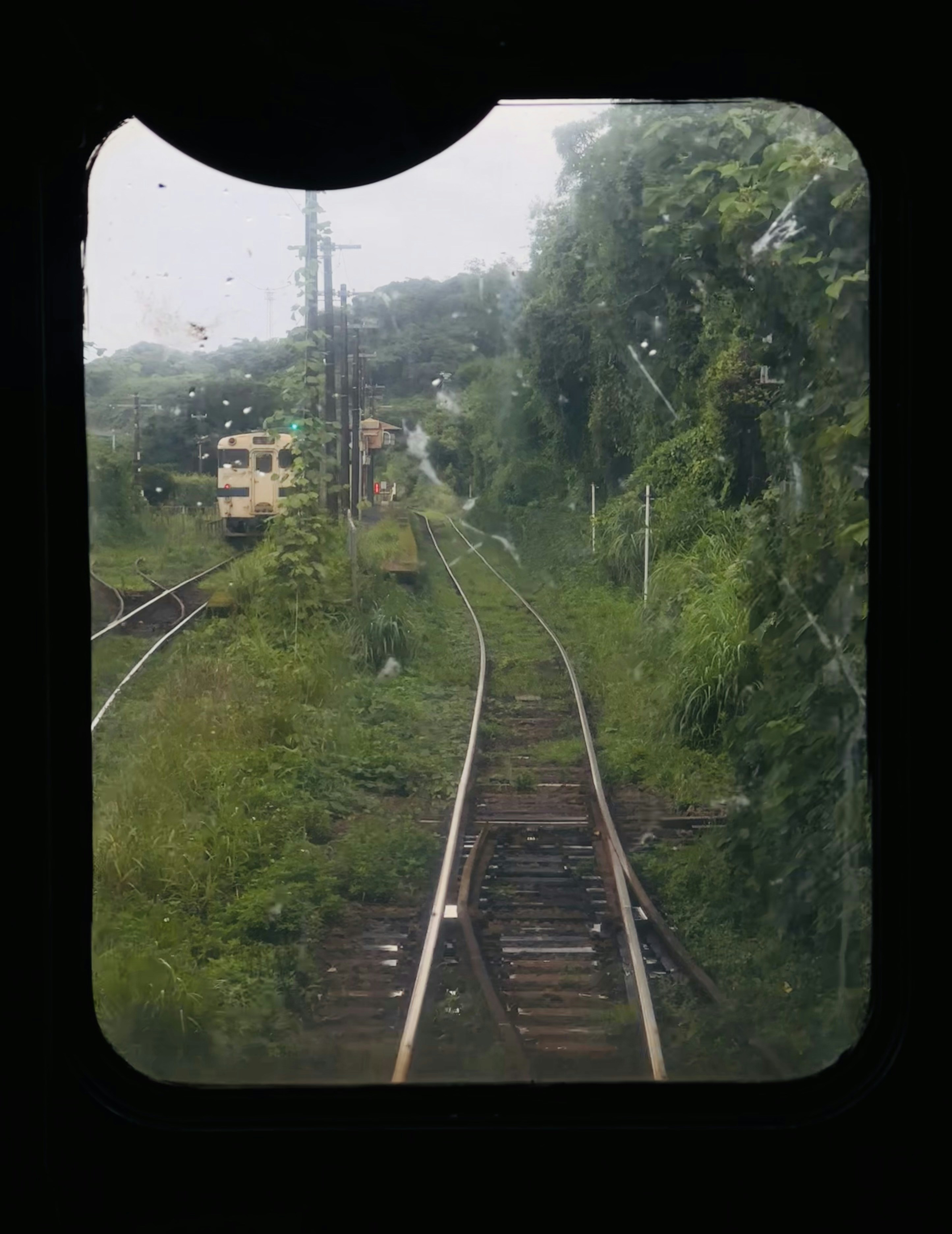 Whispers of the Overgrown Tracks