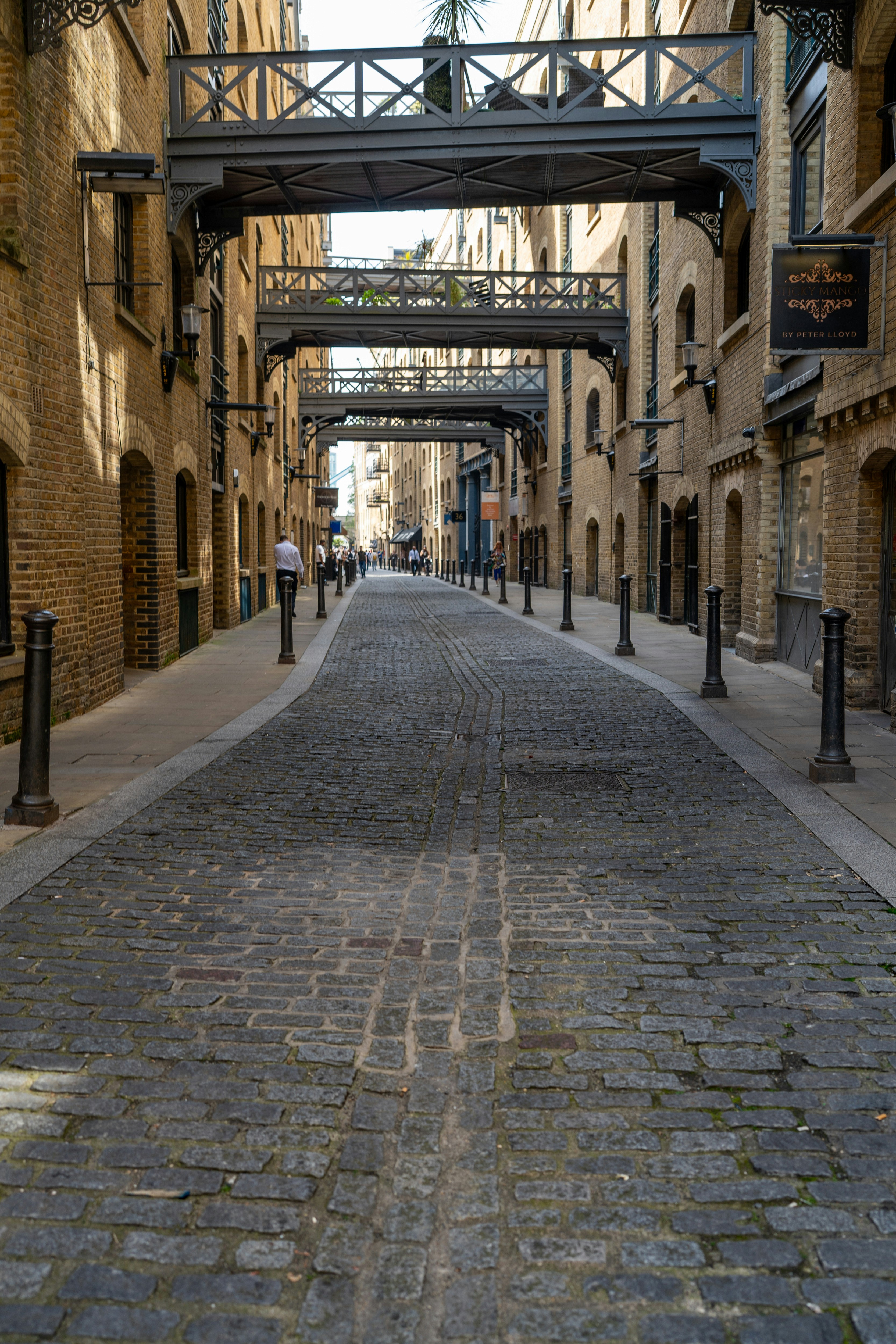 Echoes of History: A Cobblestone Journey