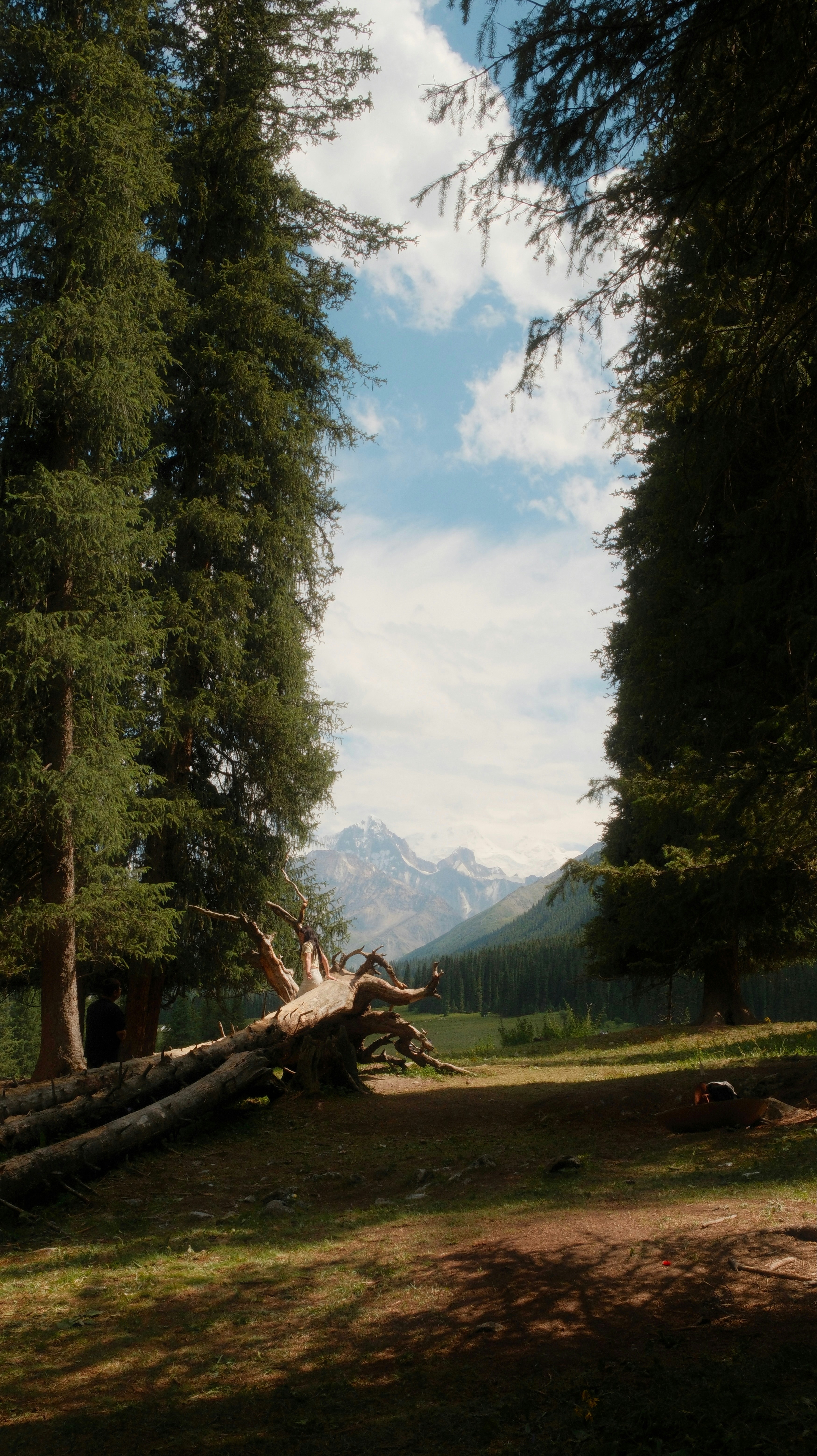 Whispers of the Wilderness: Nature's Embrace