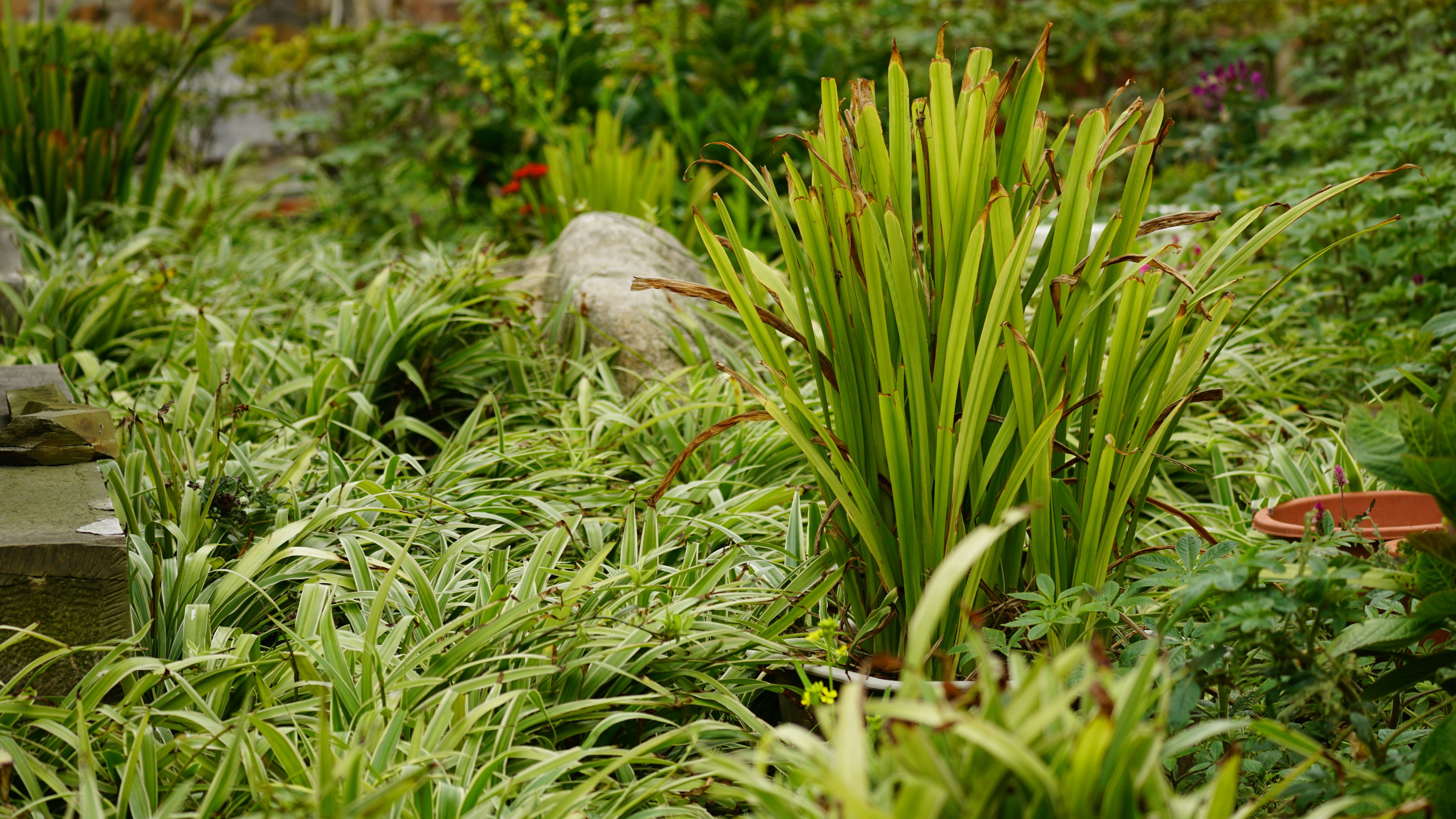 Photo by Duy Le Duc with Sony Alpha 6000